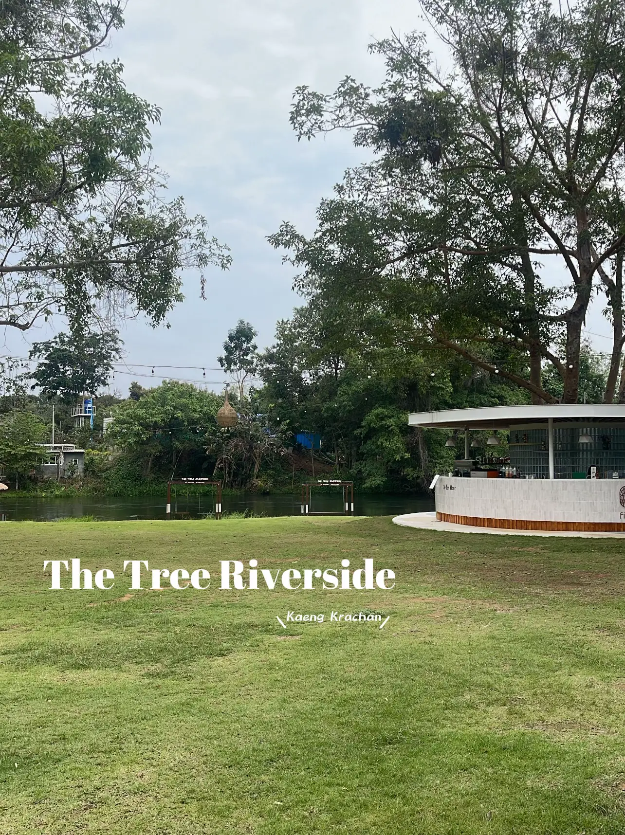 ไปแก่งกระจานทั้งที พลาดที่นี่ได้ไง ‘The Tree Riverside‘ | แกลเลอรีที่ ...