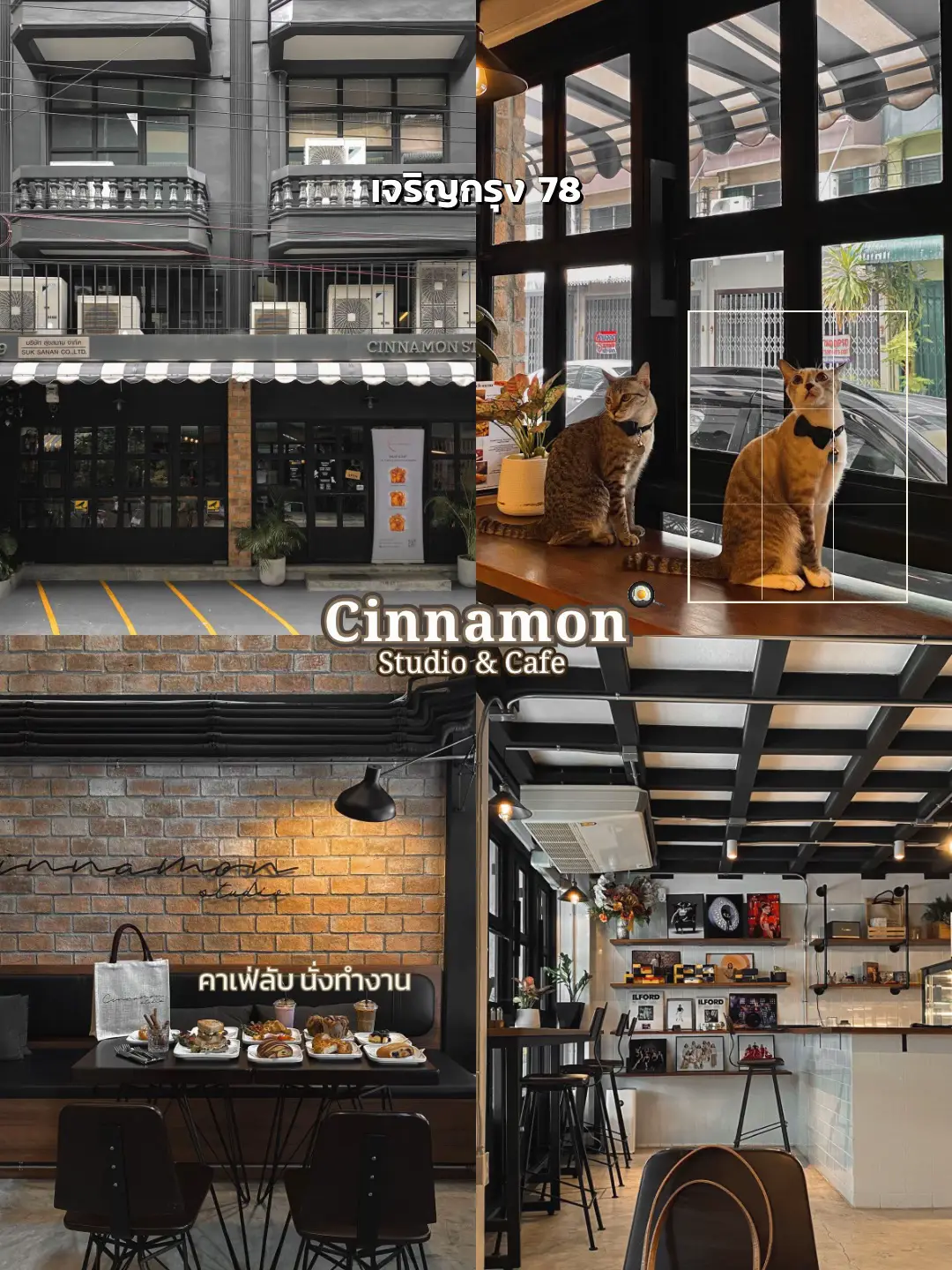 คาเฟ่แมว สมุทรสงคราม | 2025 ประสบการณ์ผู้ใช้จริงบน Lemon8