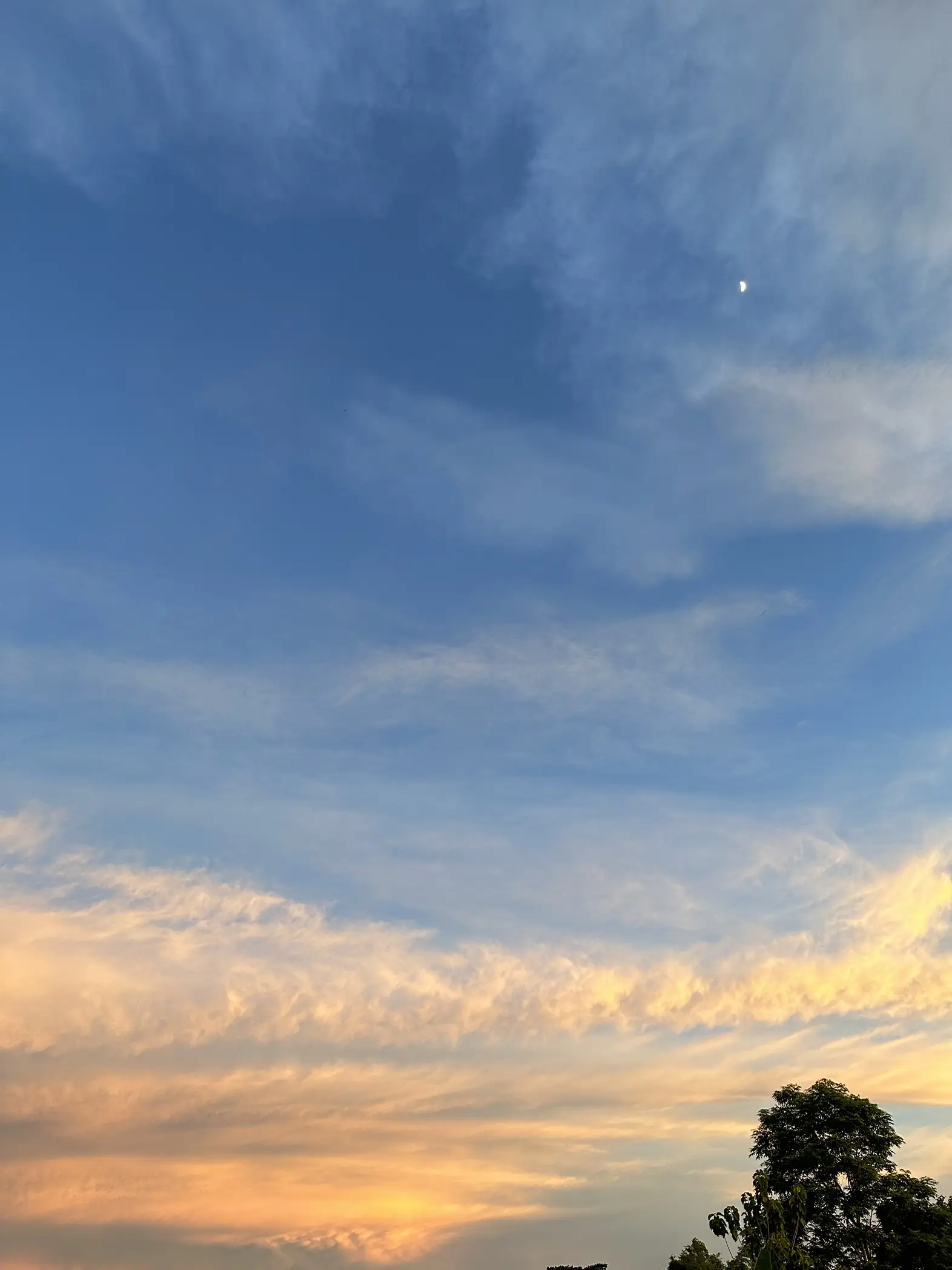 Sky Wallpaper | แกลเลอรีที่โพสต์โดย ป๊อปปี้หัวฟู • | Lemon8