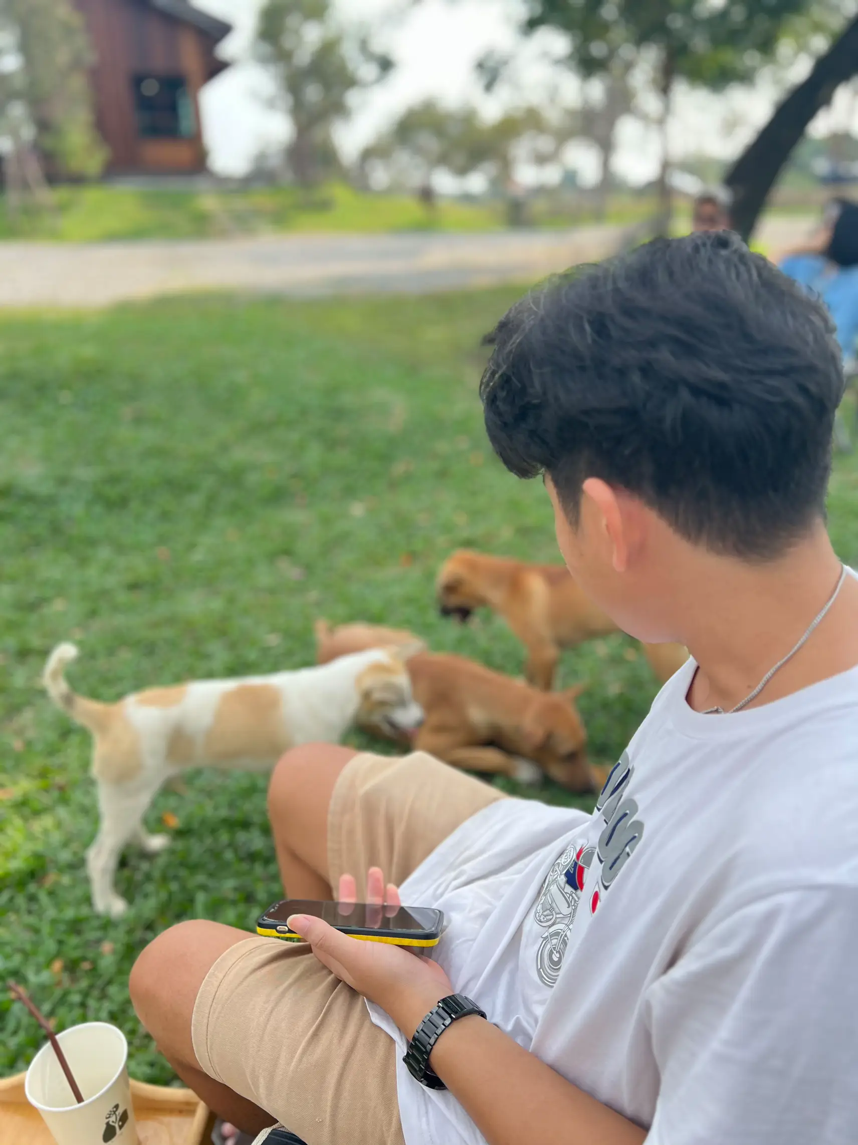 คาเฟ่ Dokmai Pratoo Jaekan 🌼🚪🍶 | แกลเลอรีที่โพสต์โดย myploy mareview | Lemon8