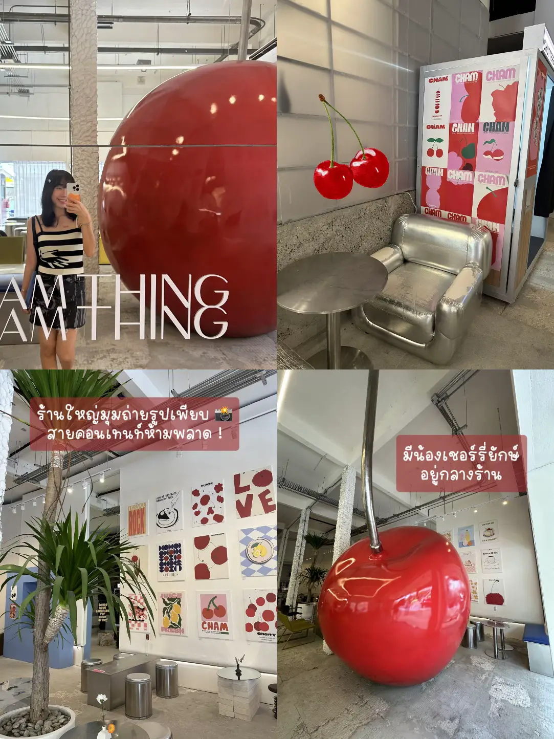 พาเที่ยวคาเฟ่สุดคิ้วท์ย่านปิ่นเกล้า “Cham thing” 🍒 | แกลเลอรีที่โพสต์ ...