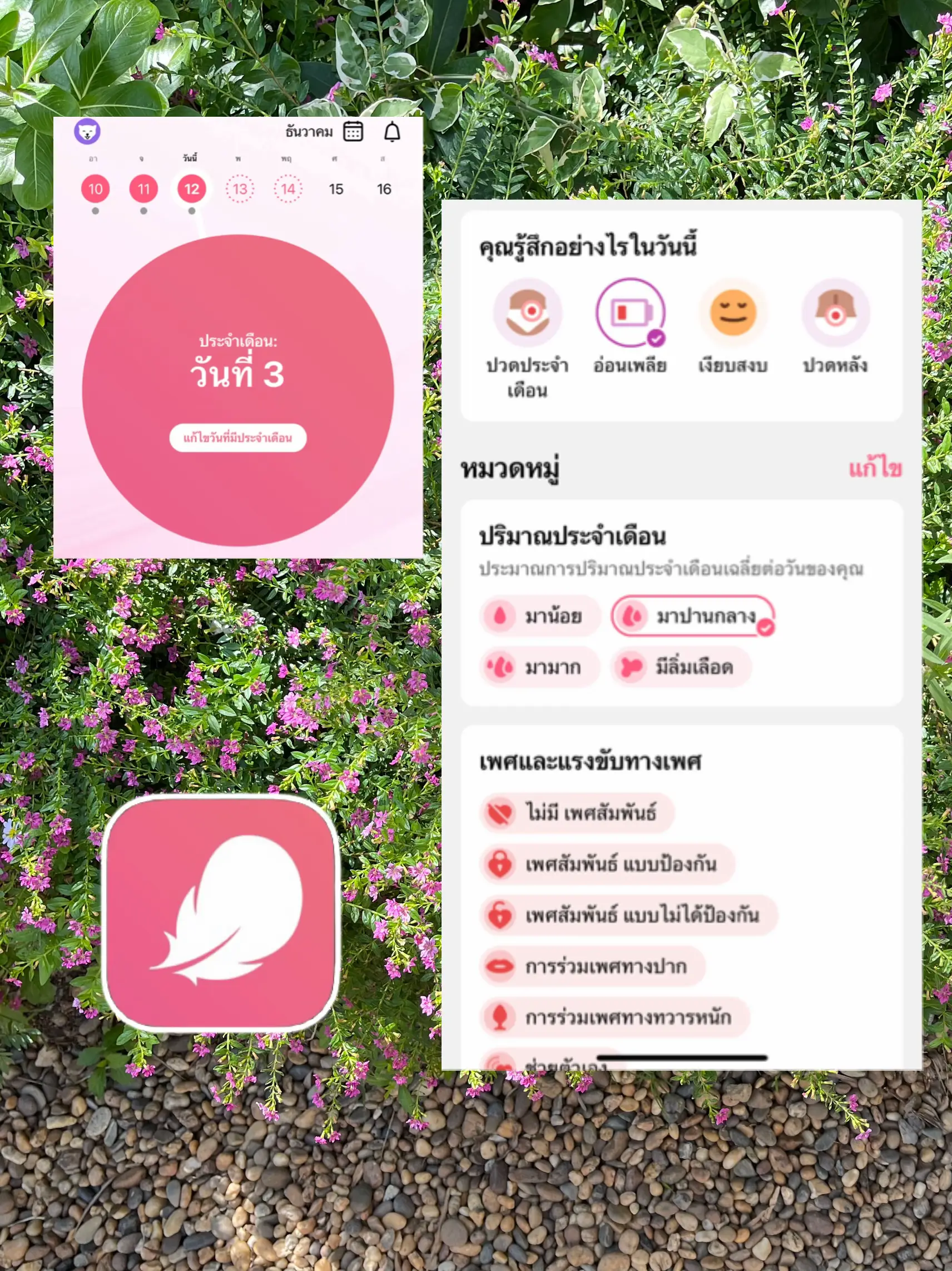 5แอพต้องมี 💡💗 | แกลเลอรีที่โพสต์โดย HAp.Pl y | Lemon8