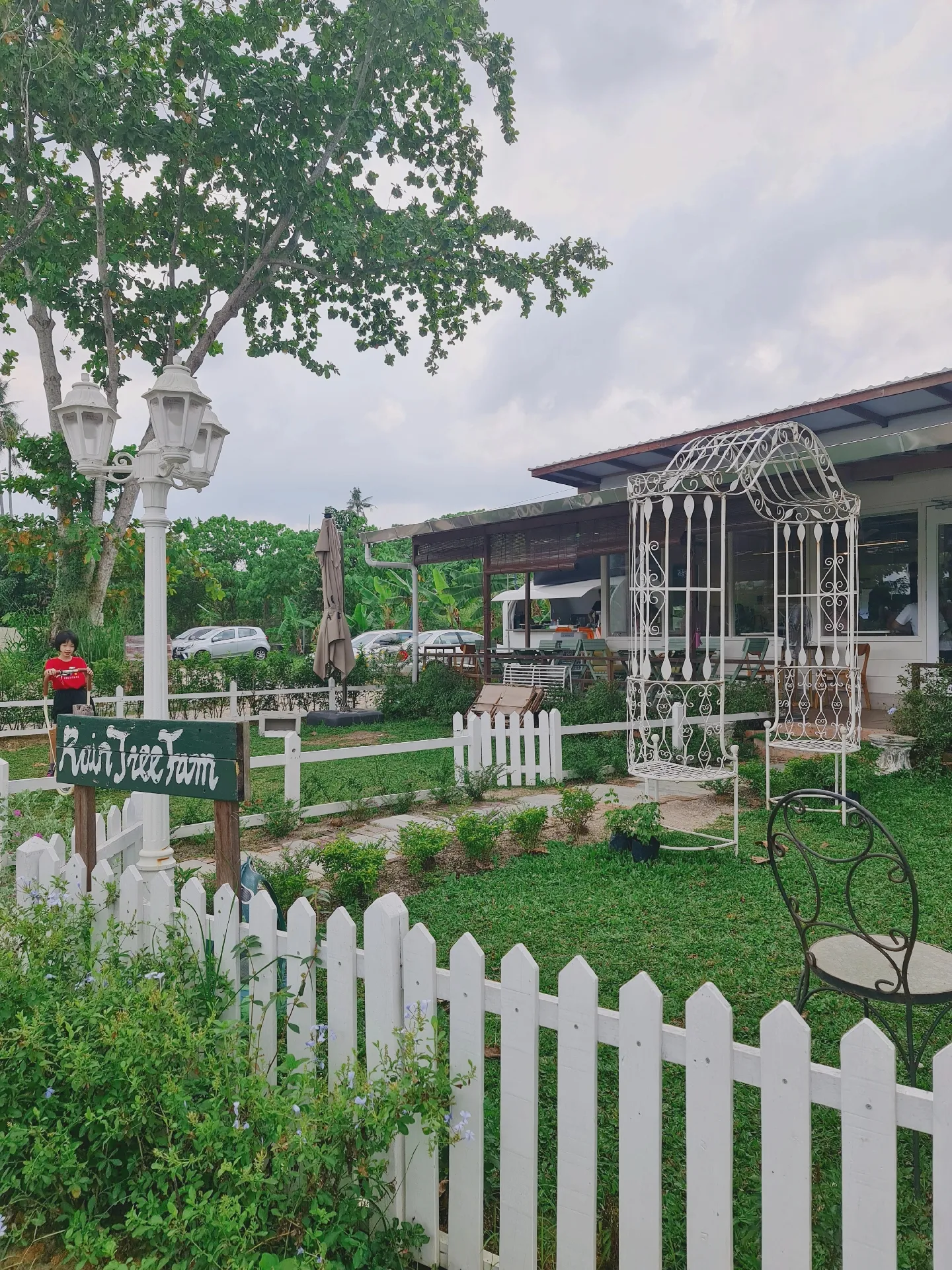 Rain Tree Farm Penang very cozy farm to visit | Galeri disiarkan oleh Misa ʕ •ᴥ•ʔゝ☆ | Lemon8