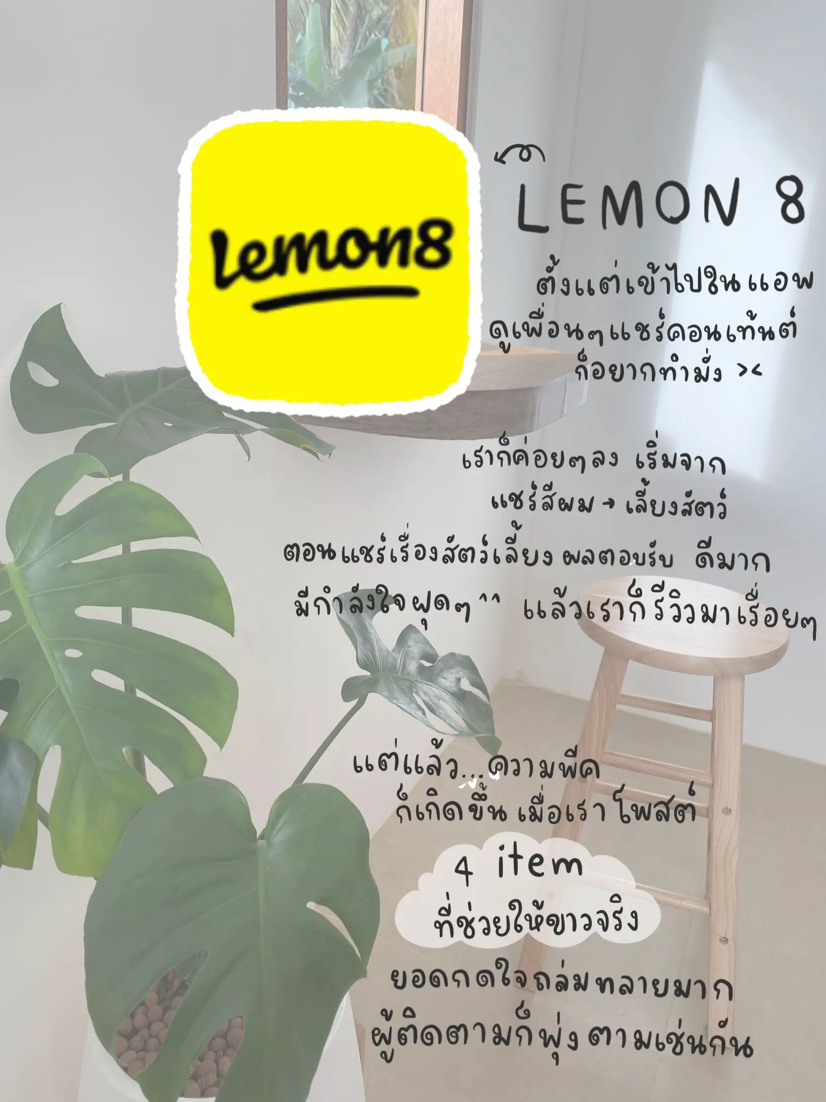 Lemon8🍋 จุดเริ่มต้นที่”ดี”ที่ทำให้เป็น เรา ในวันนี้!!🏝🫶 | แกลเลอรีที่โพสต์โดย 🦖ꕀᴅᴏᴏᴋᴅᴏᴏᴋ₊˚ˑ 🐾 ...
