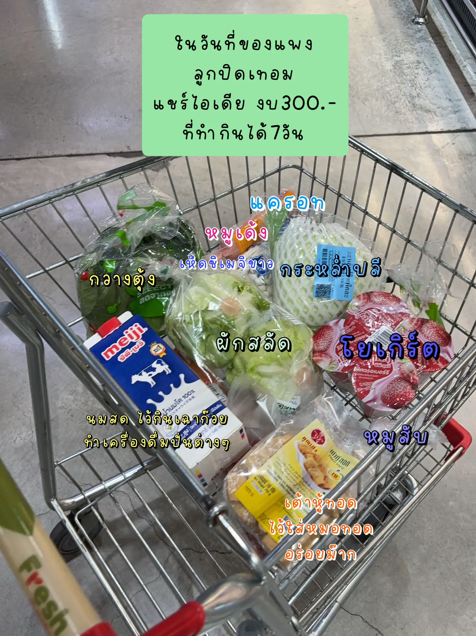 แชร์ไอเดีย งบ300 ได้อะไรบ้าง? | แกลเลอรีที่โพสต์โดย Thanyapat S. | Lemon8