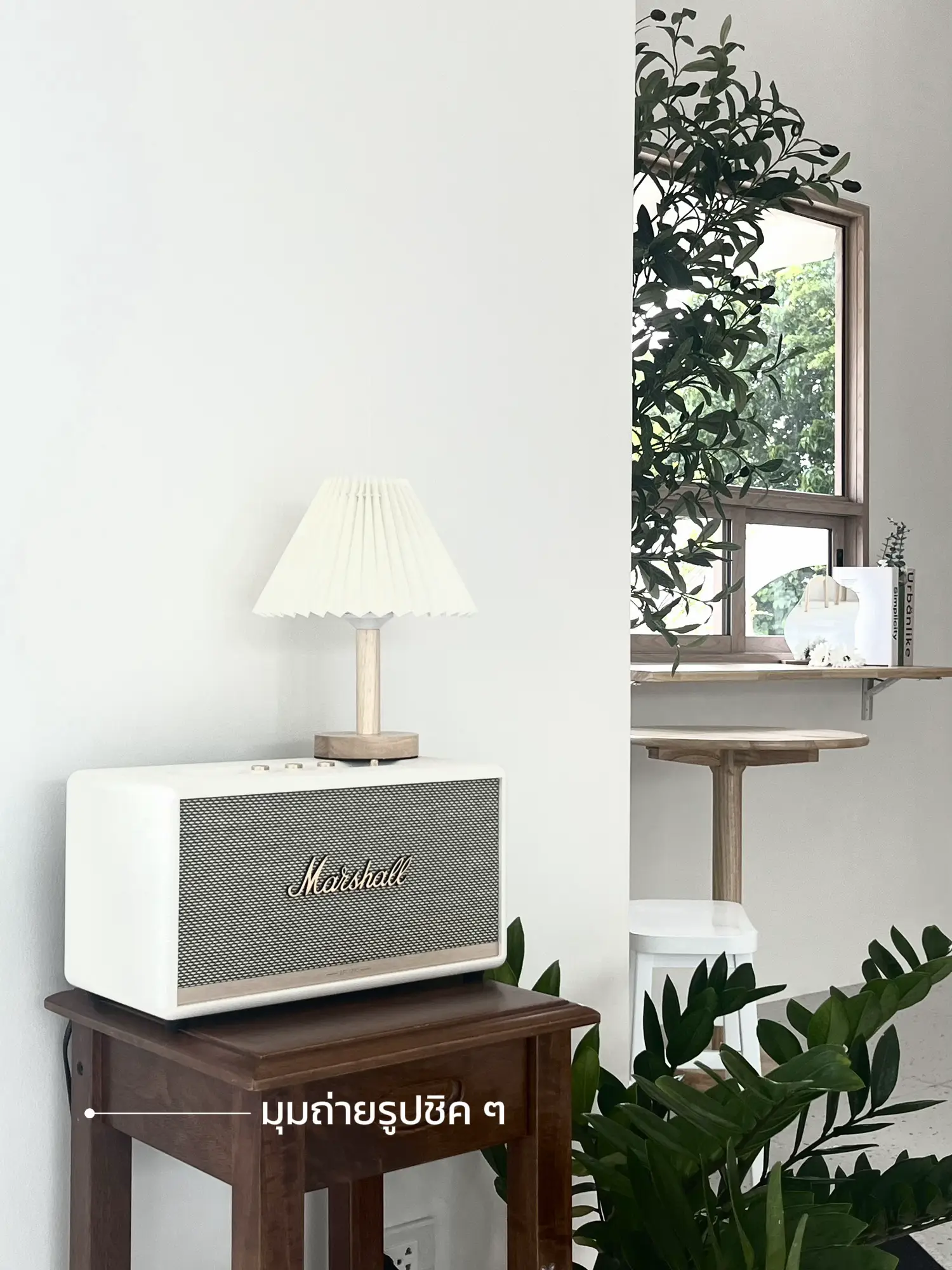 คาเฟ่ปทุมธานี คลอง 3 (คลองหลวง) | แกลเลอรีที่โพสต์โดย parry-parin | Lemon8