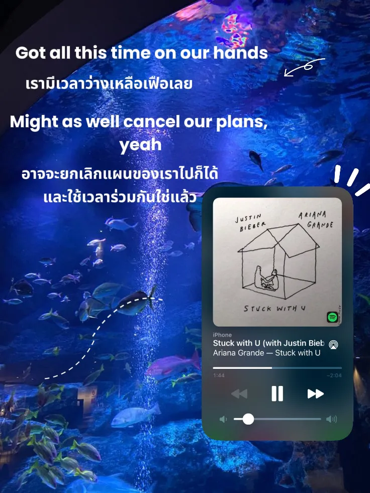 รวมเพลงสากลเพราะๆ🎧 | แกลเลอรีที่โพสต์โดย Cona.pon☆ | Lemon8