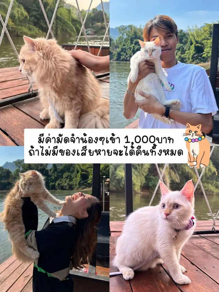 ที่พัก Pet friendly กาญจนบุรี | แกลเลอรีที่โพสต์โดย Fon | Lemon8