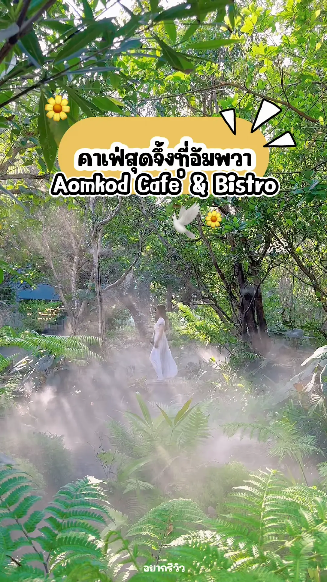 🌳☕️ 𝐀𝐨𝐦𝐤𝐨𝐝 𝐂𝐚𝐟𝐞 & 𝐁𝐢𝐬𝐭𝐫𝐨 🪨🌳 #อัมพวา | วิดีโอที่เผยแพร่โดย อยากรีวิว | Lemon8