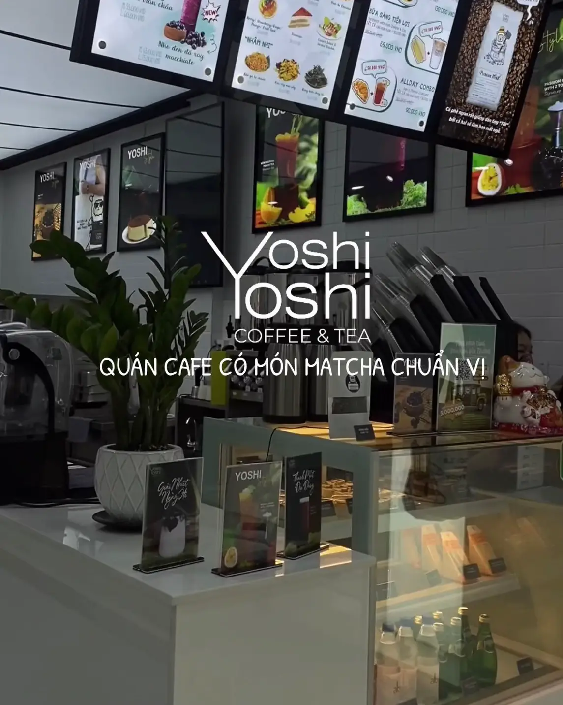 Yoshi Yoshi Coffee and Tea - Tìm kiếm trên Lemon8