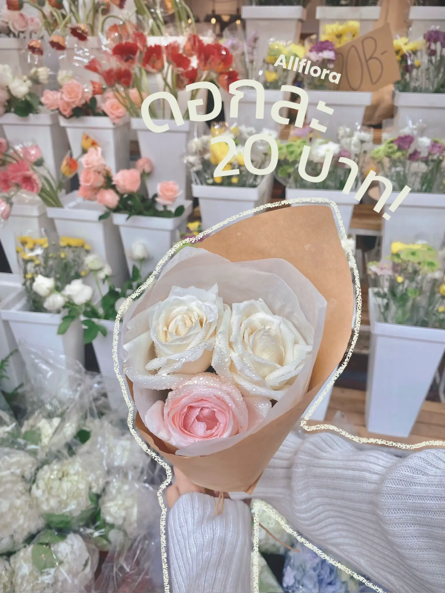 ALL.FLORA ร้านดอกไม้ย่านปากคลองตลาดที่ห้ามพลาด🌸 | แกลเลอรีที่โพสต์โดย ...