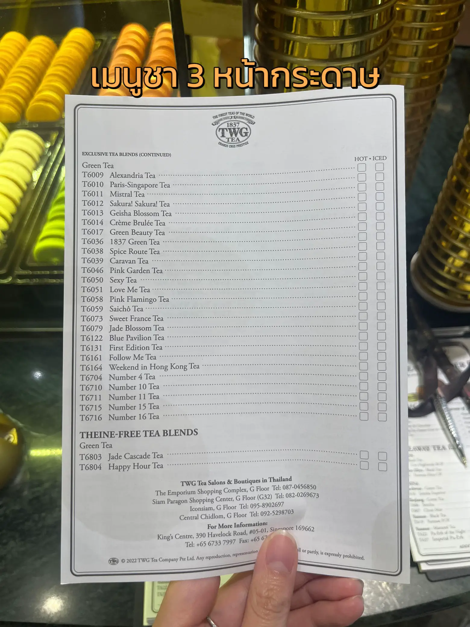 รีวิว แก้วสีทองอร่าม TWG ถือไปมีแต่คนมอง แพคเกจสวย! | แกลเลอรีที่โพสต์ ...