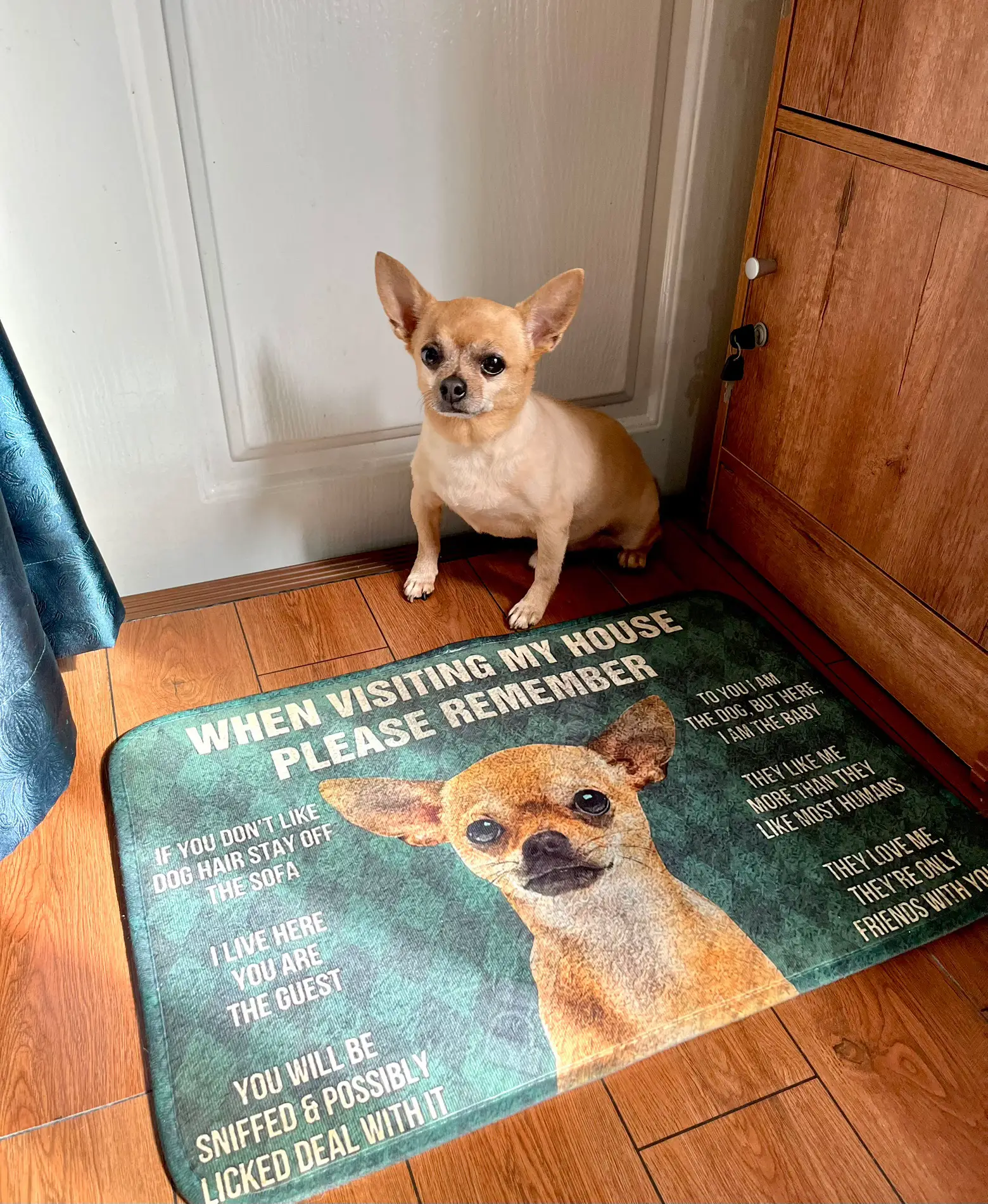 🐶พรมเช็ดเท้าหน้าชิวาว่า | แกลเลอรีที่โพสต์โดย khuncha | Lemon8