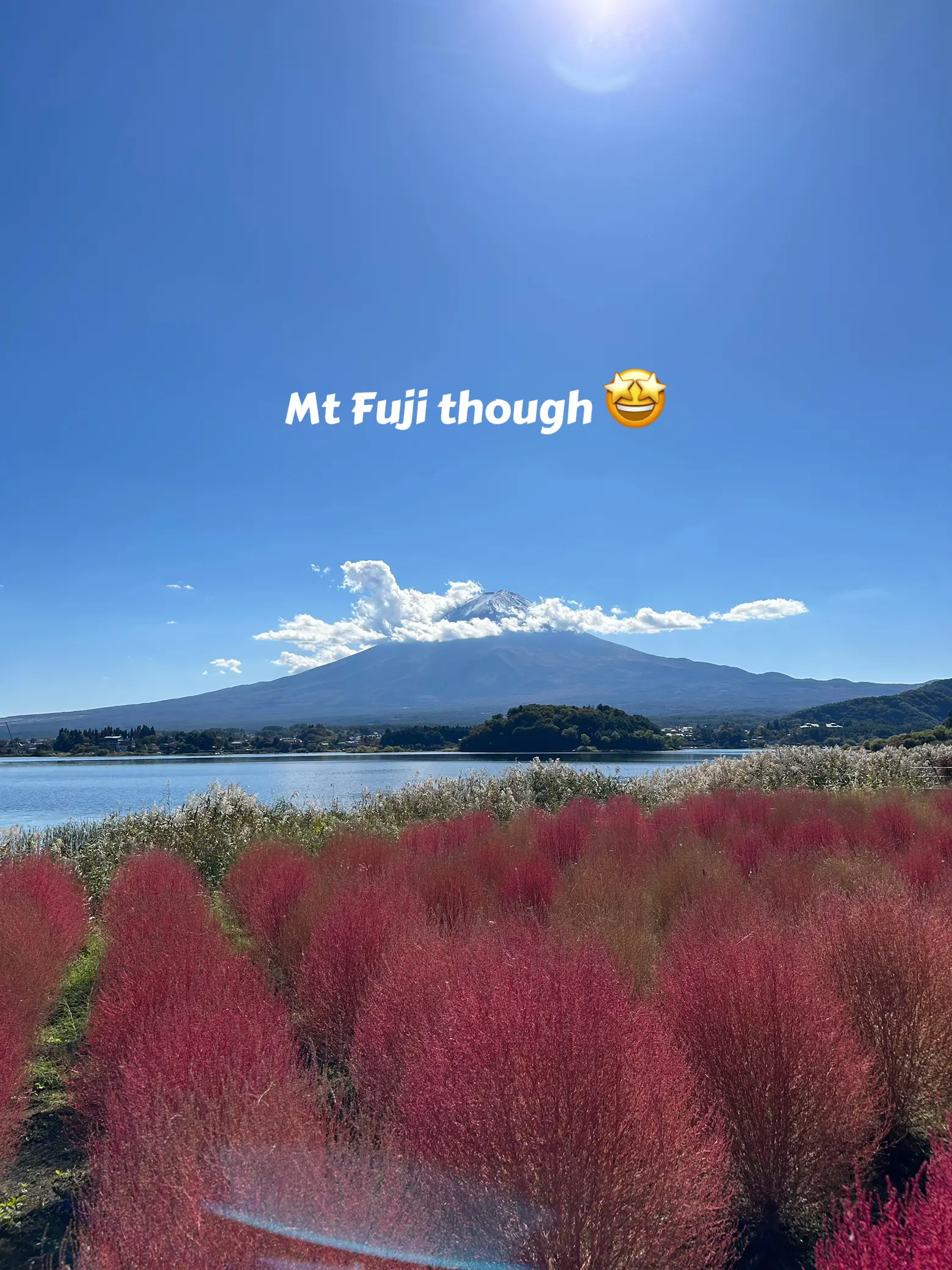 is it me or… is Japan overrated..? 🇯🇵 | Gallery posted by megan | Lemon8