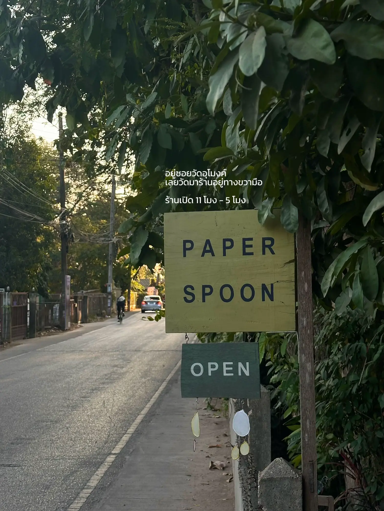 paper spoon 🥤| คาเฟ่บ้านไม้โฮมเมดลับๆ แต่คับคุณภาพ | แกลเลอรีที่โพสต์ ...