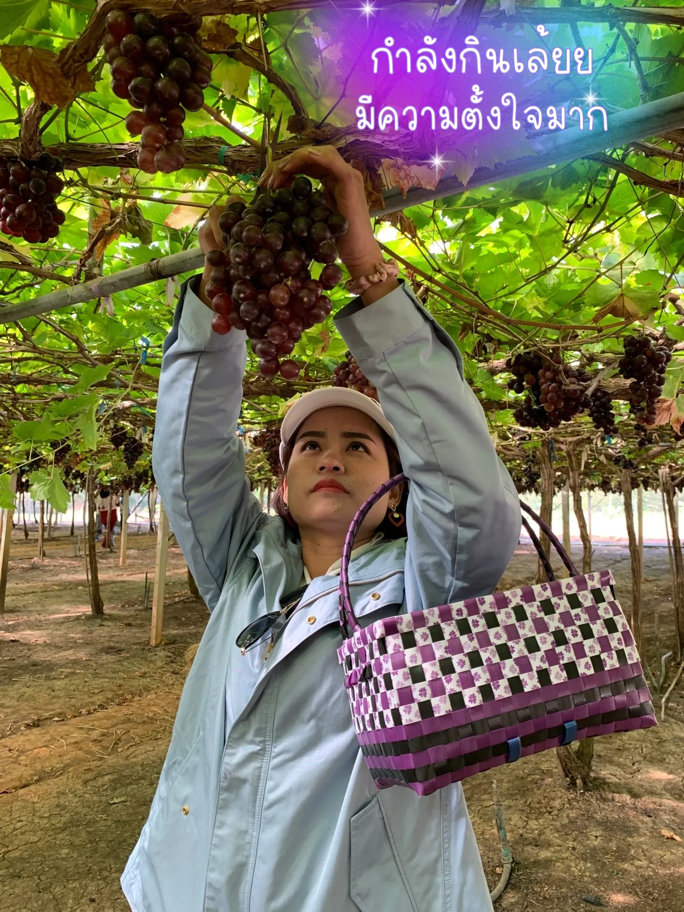 ตะลุยไร่องุ่น เขาใหญ่ | แกลเลอรีที่โพสต์โดย Lifestyle@Orasa | Lemon8