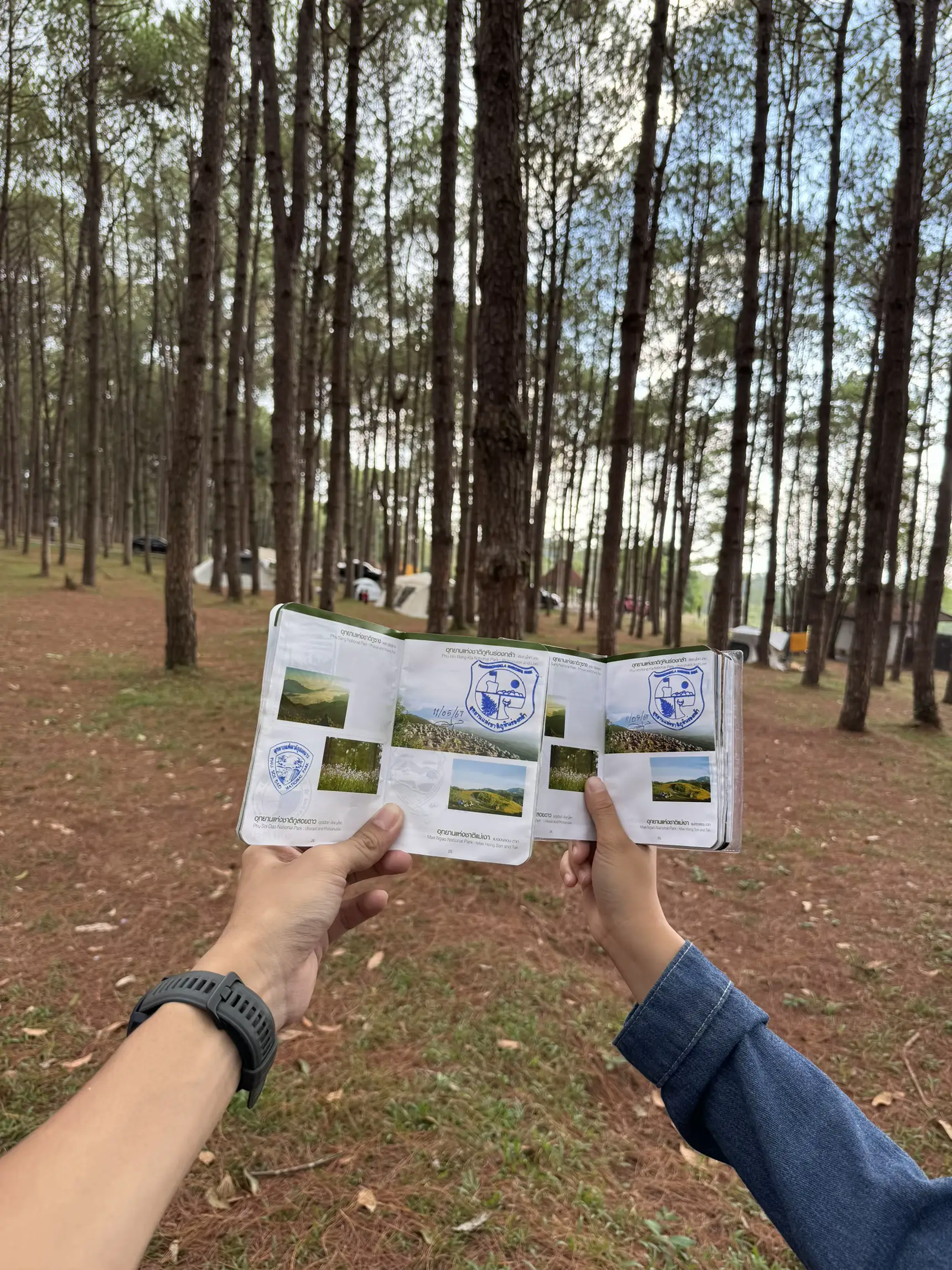 อุทยานแห่งชาติภูหินร่องกล้า 🏡🪵🏕️🪨🌦️ | แกลเลอรีที่โพสต์โดย ewery.pump | Lemon8