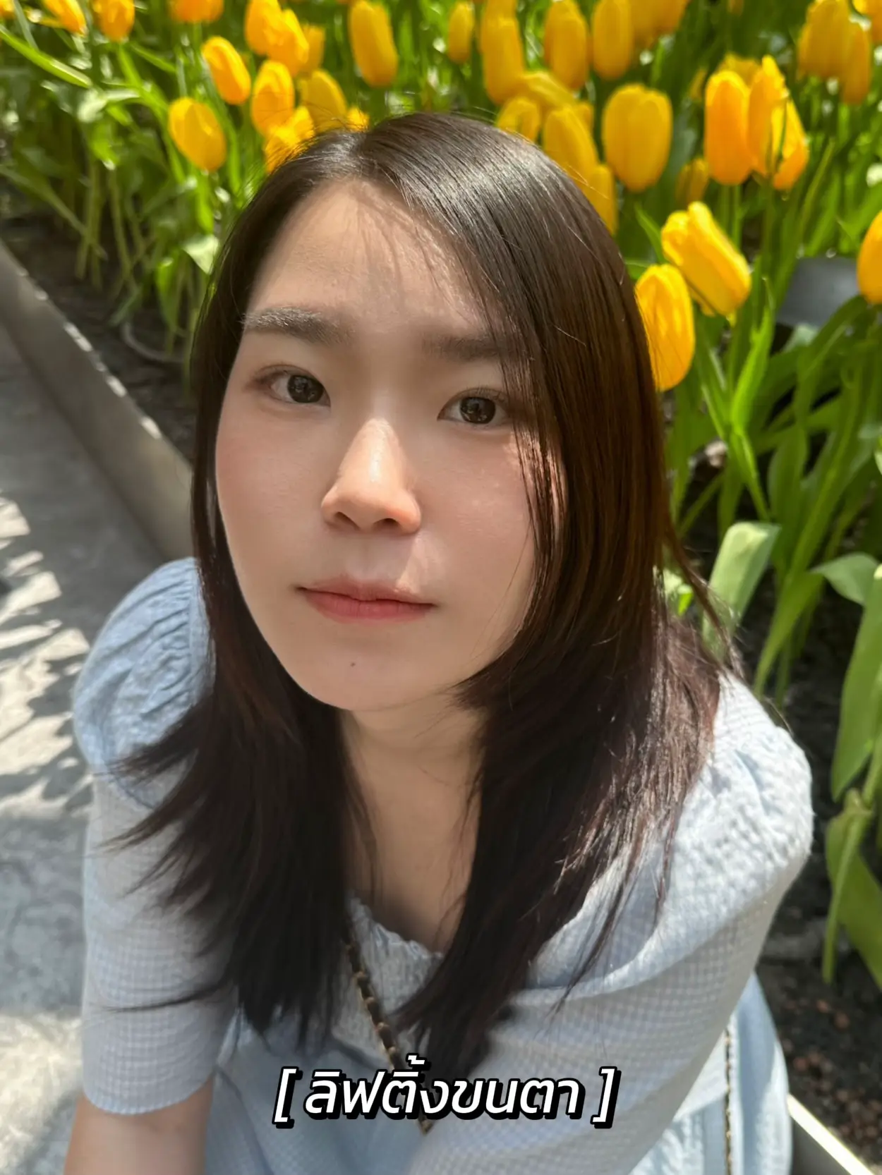 ลิฟขนตา vs ต่อขนตา 👀 | แกลเลอรีที่โพสต์โดย pw | Lemon8