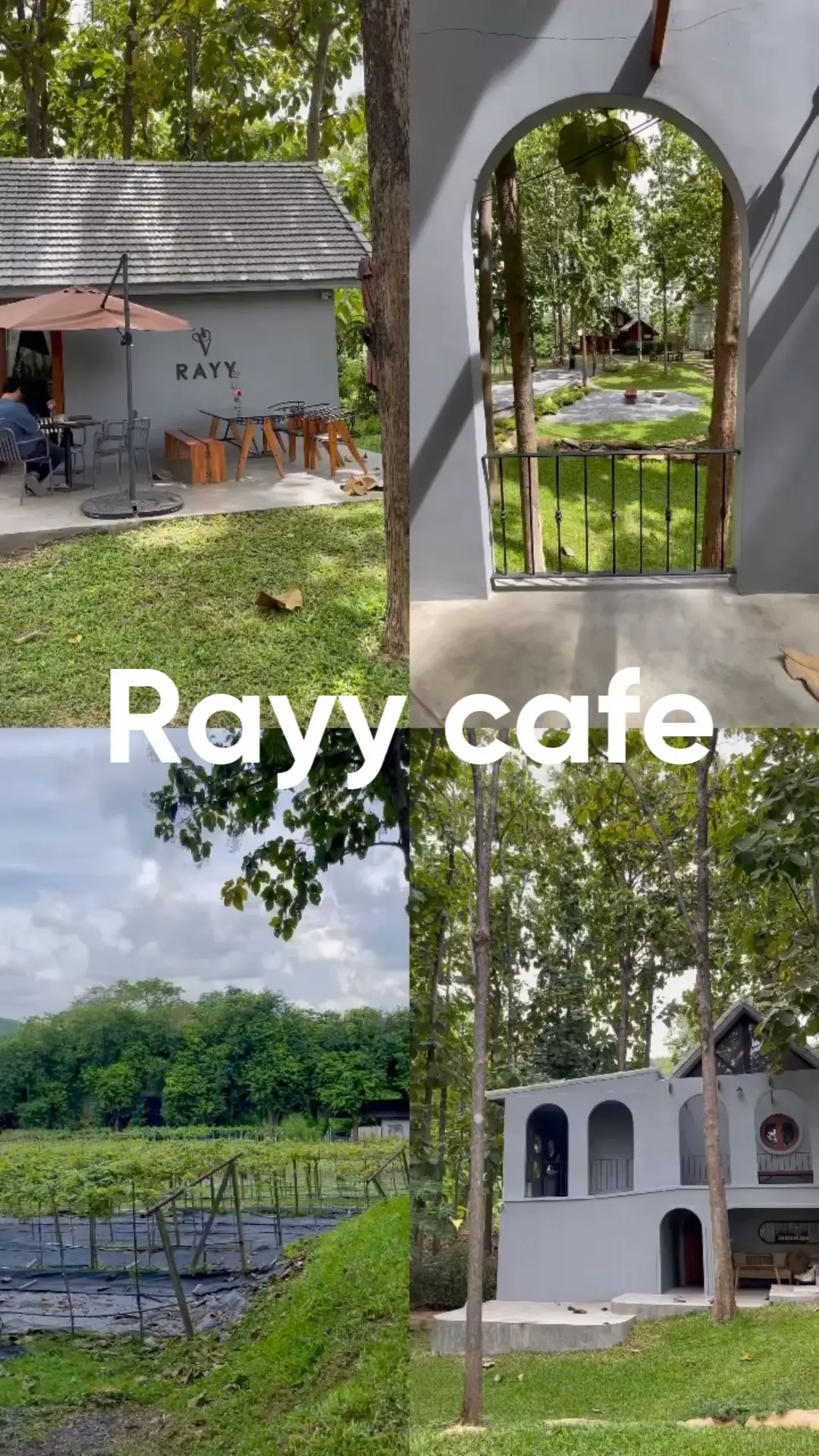 Rayy cafe สระบุรี ในไร่องุ่น | วิดีโอที่เผยแพร่โดย Modshy | Lemon8