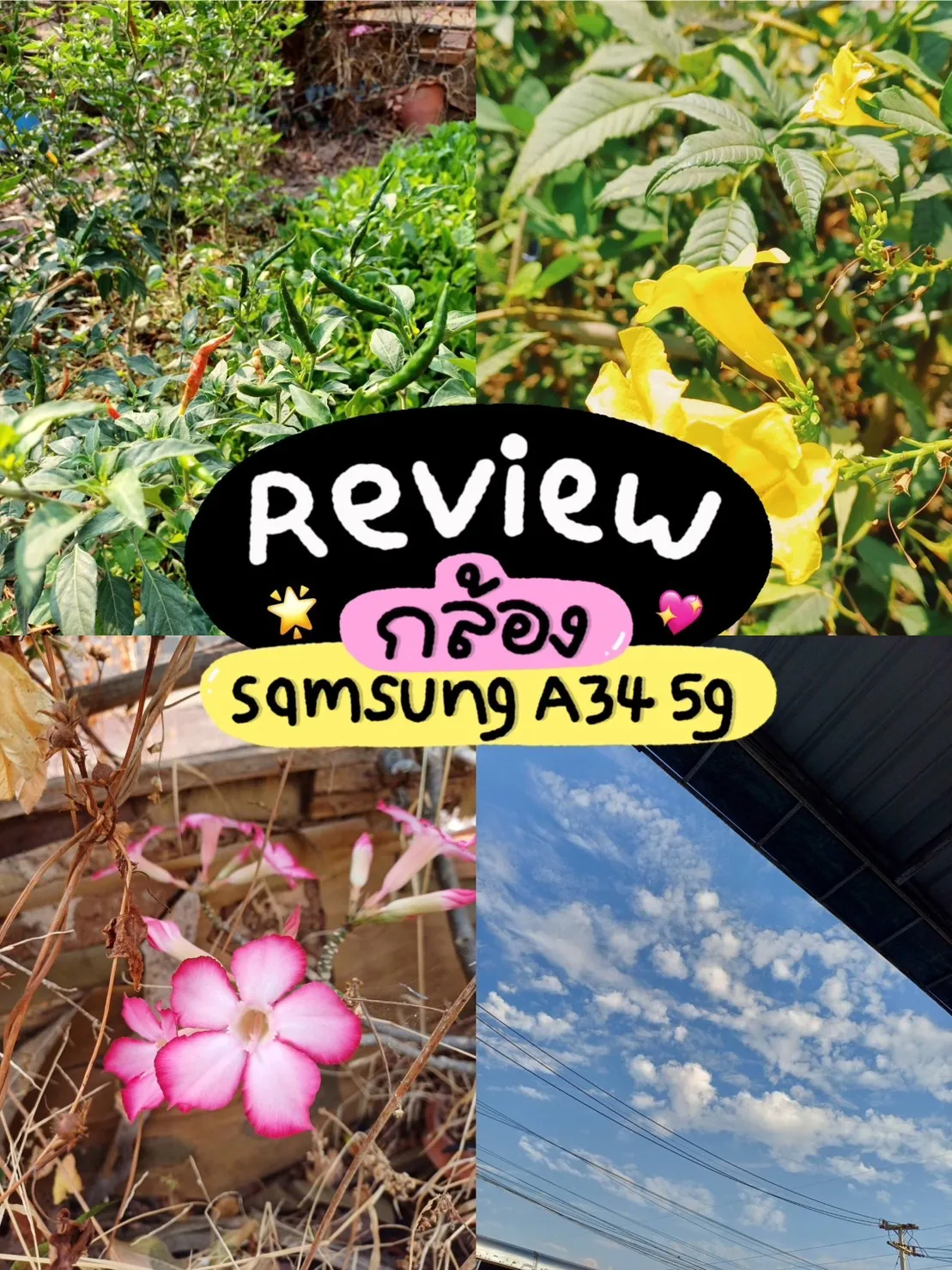 Review กล้อง Samsung A34 5g🫧💖ꕀ | แกลเลอรีที่โพสต์โดย oomsqxz 🍅 | Lemon8