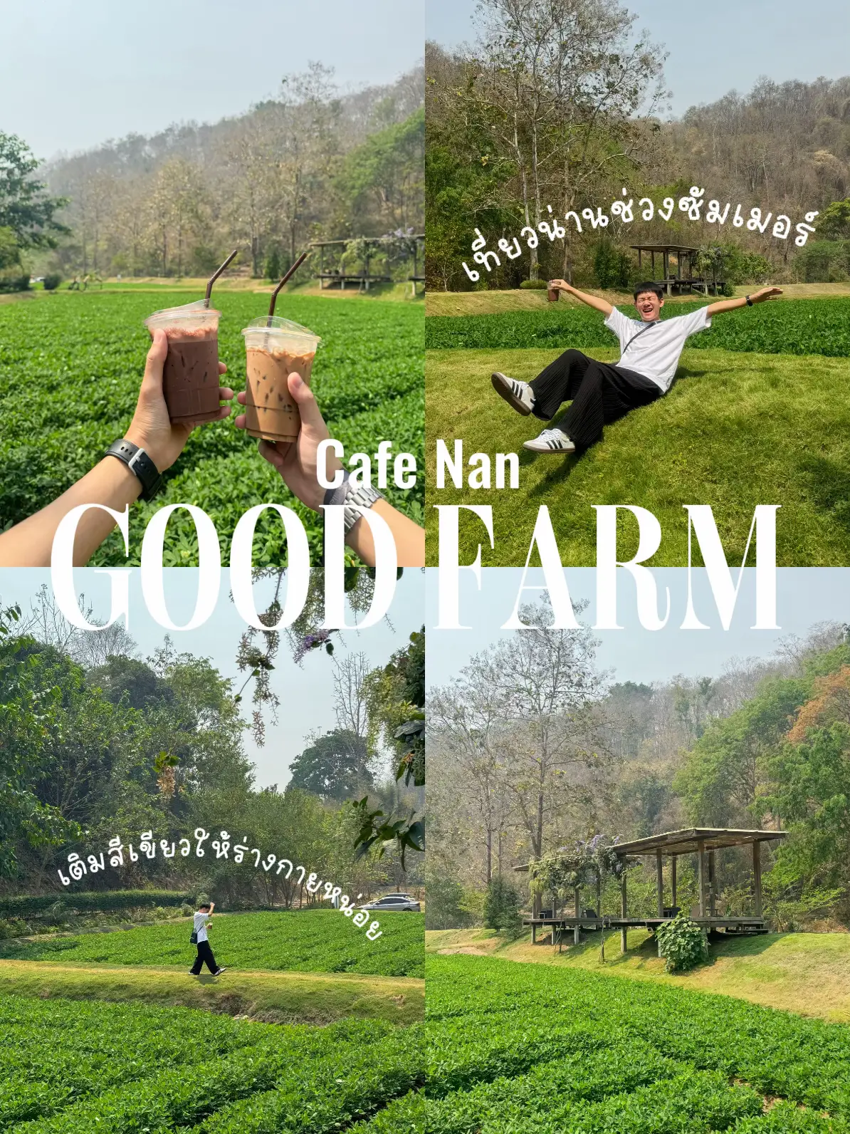 เที่ยวน่านช่วงซัมเมอร์ GOOD FARM คาเฟ่กลางป่า | แกลเลอรีที่โพสต์โดย ...
