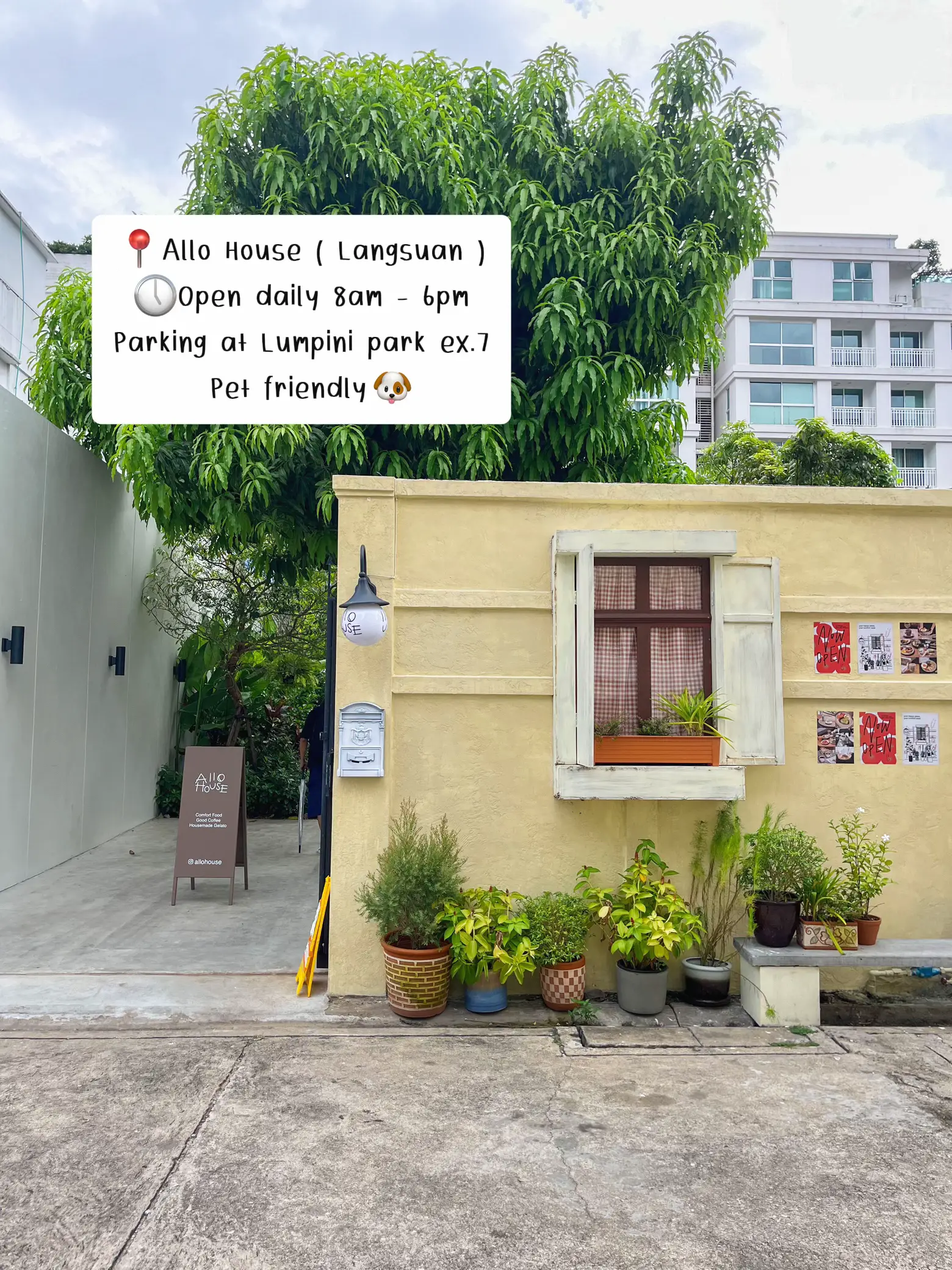 AlloHouse | คาเฟ่เปิดใหม่ย่านหลังสวน ไวป์ Cozy สุดๆ🏡🌳🛋️ | แกลเลอรีที่ ...