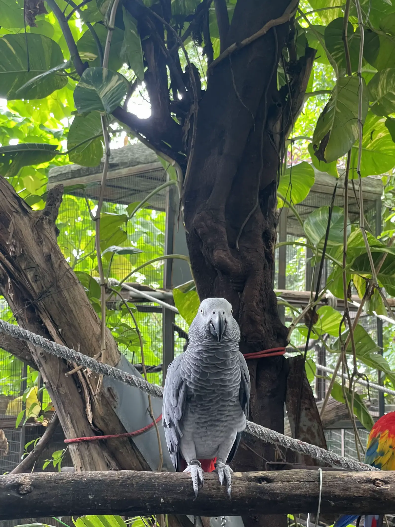 สวนสัตว์จิ๋วใกล้กรุง เข้าฟรี! | แกลเลอรีที่โพสต์โดย minkachu | Lemon8