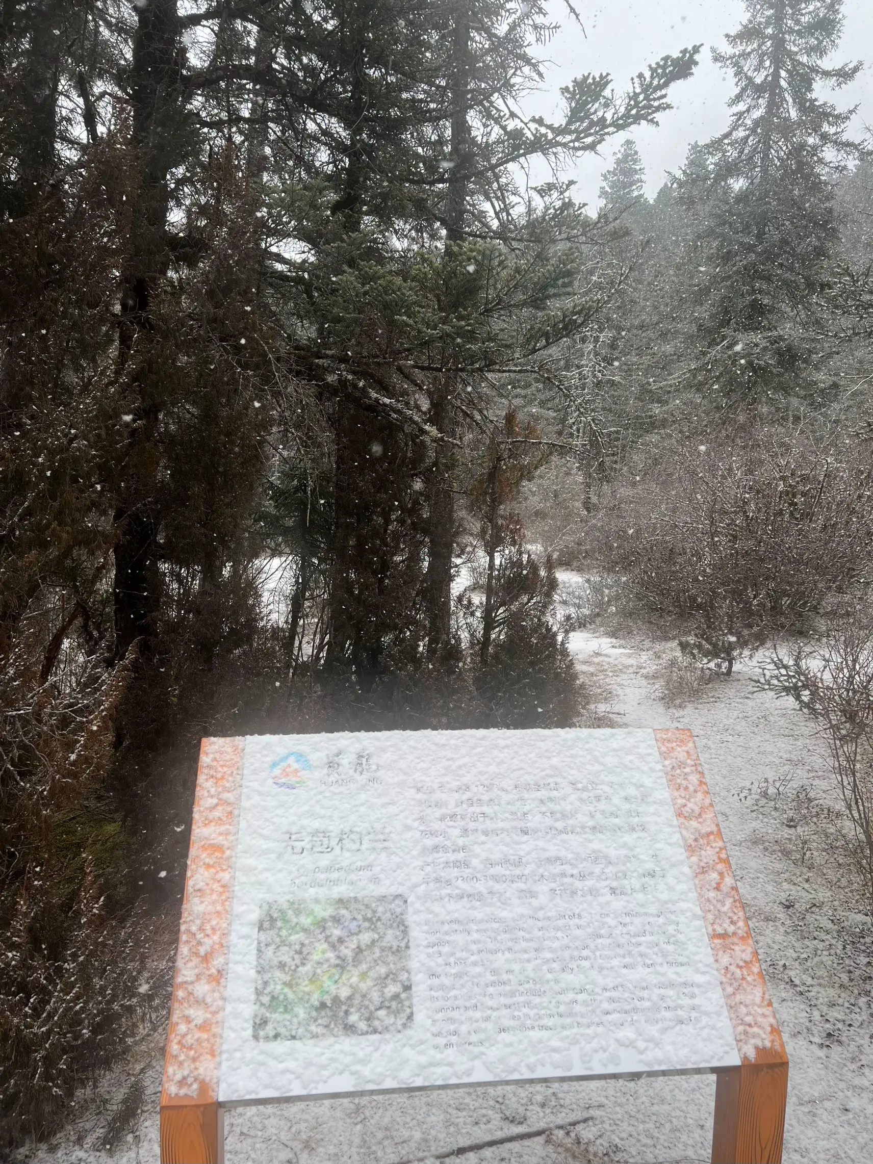 ที่นี่ HUANGLONG (หวงหลง) เฉิงตู🇨🇳 | แกลเลอรีที่โพสต์โดย PLOYPATCHA | Lemon8