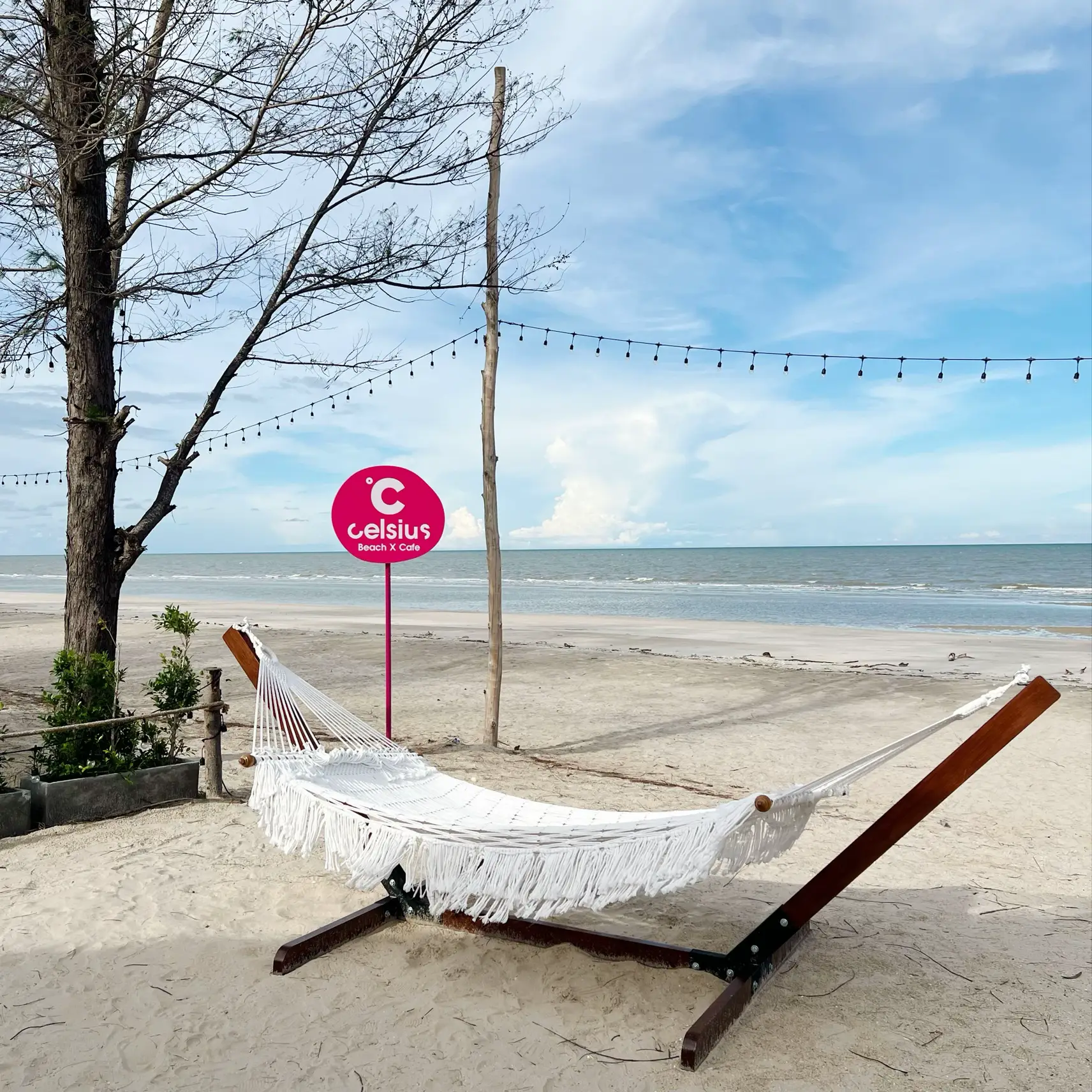 CELSIUS BEACH X CAFE | แกลเลอรีที่โพสต์โดย Eatviewgo | Lemon8