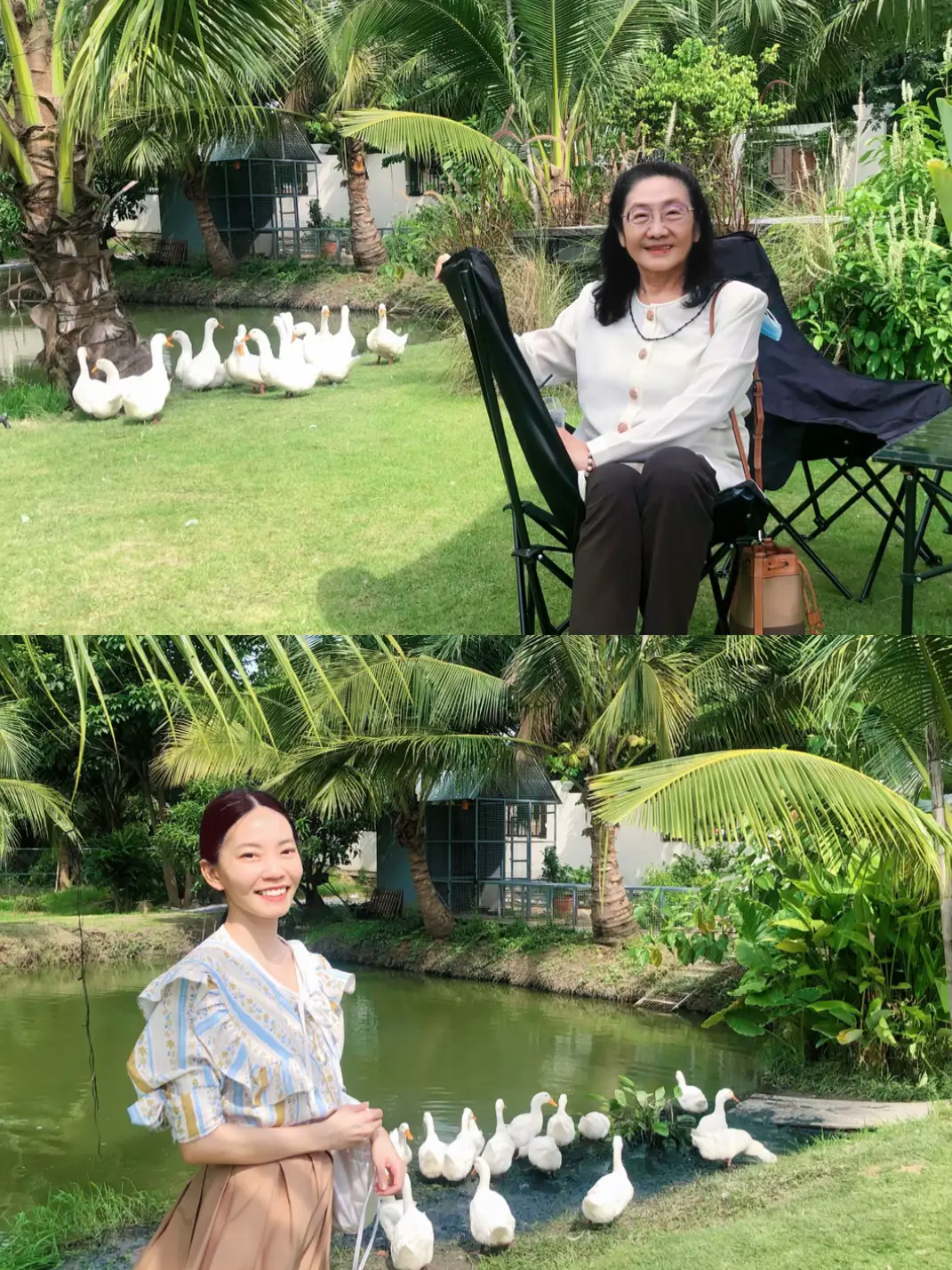 Kanin คาเฟ่นนทบุรี มีเป็ด แพะ เต่า ปลา น่ารักสุดๆ | แกลเลอรีที่โพสต์โดย Meixing | Lemon8