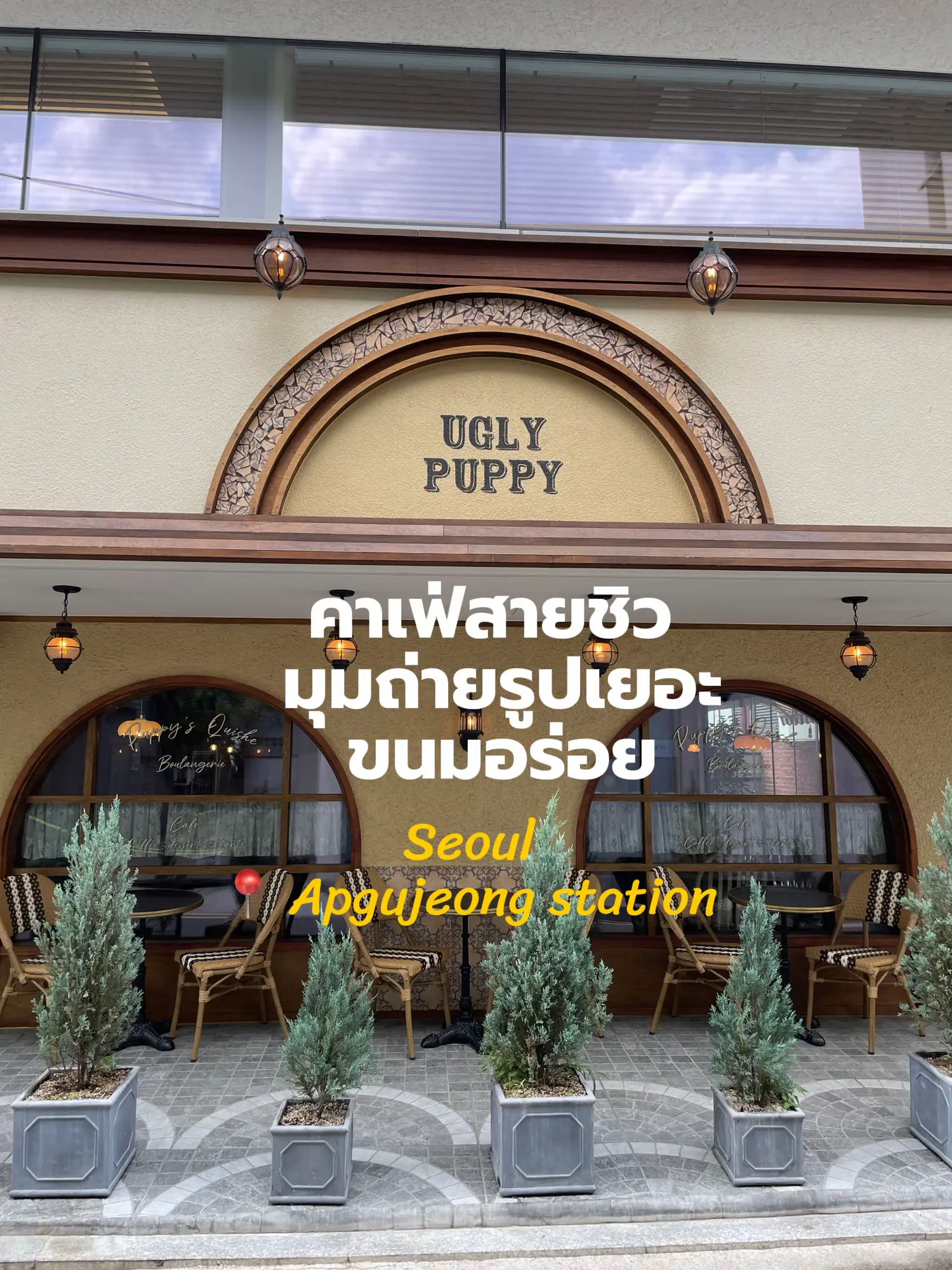 Ugly puppy cafe ที่ Seoul ต้องไปโดน | Gallery posted by Yoktodaystory | Lemon8
