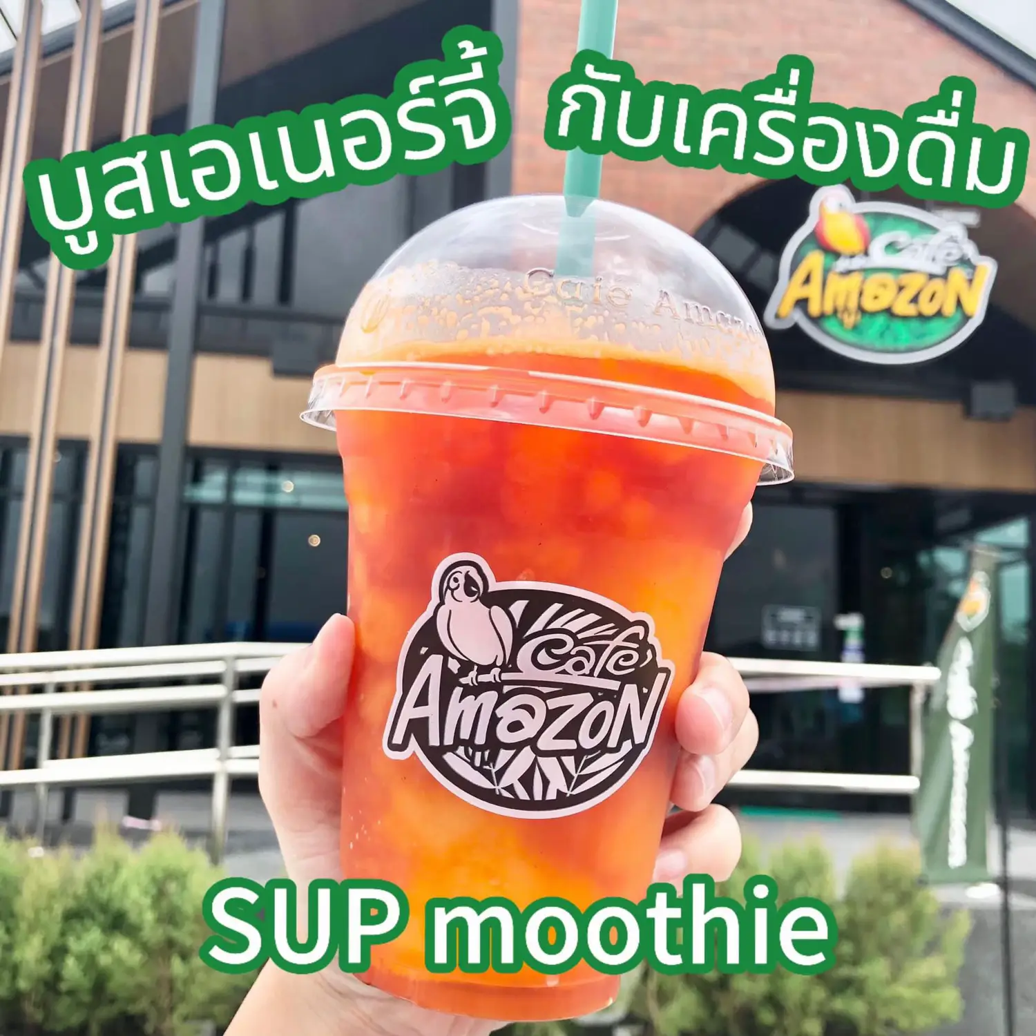 เมนูใหม่อเมซอนล่าสุด 2567 - การค้นหาใน Lemon8