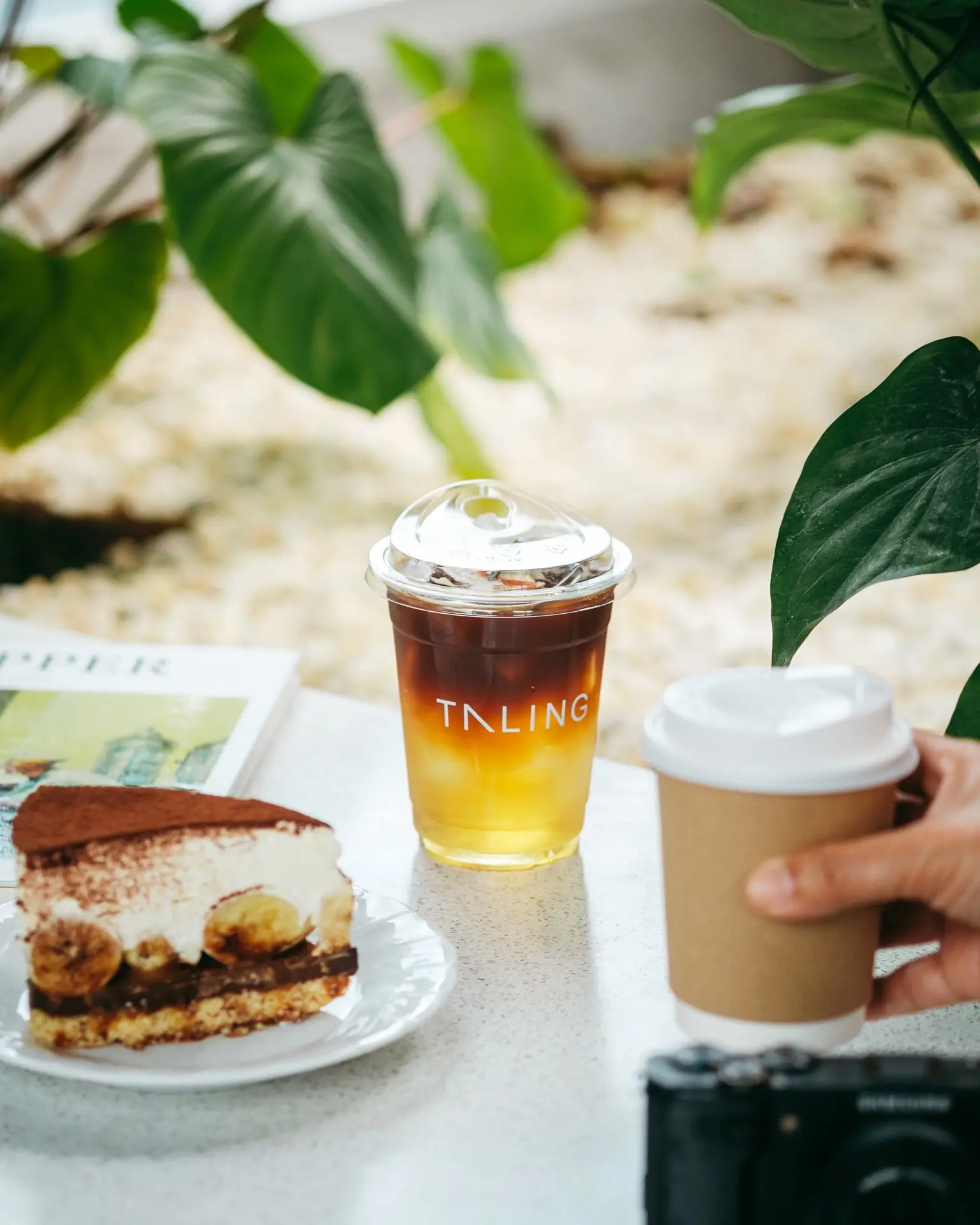 TALING คาเฟ่สวยย่านตลิ่งชัน ฟีลใกล้ชิดธรรมชาติ 🌳☕️ | แกลเลอรีที่โพสต์ ...