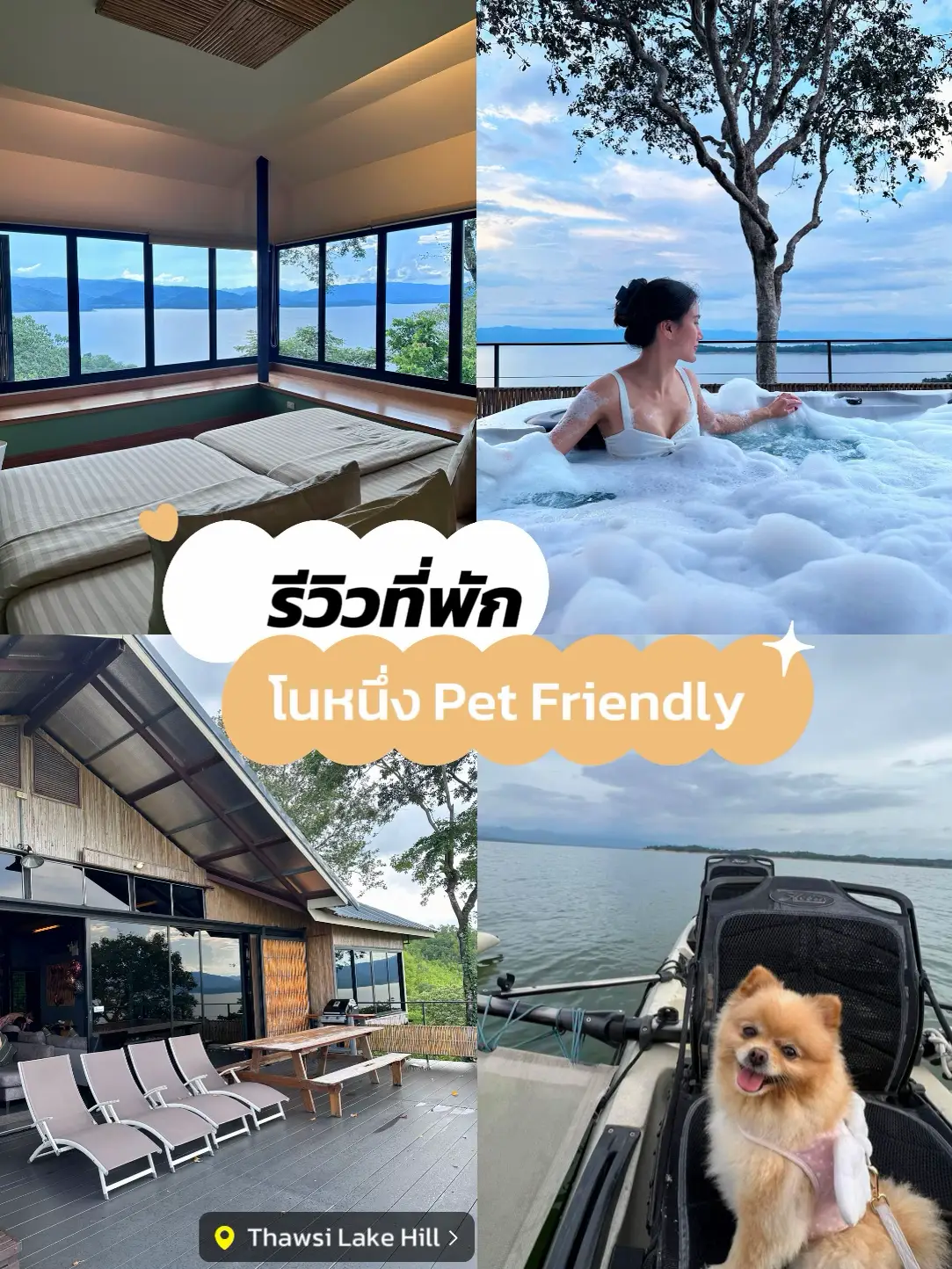 เที่ยวไหนดีที่กาญจนบุรี+ร้านpet friendly😍🏕️💫 | แกลเลอรีที่โพสต์โดย เฟอร์รีวิว | Lemon8