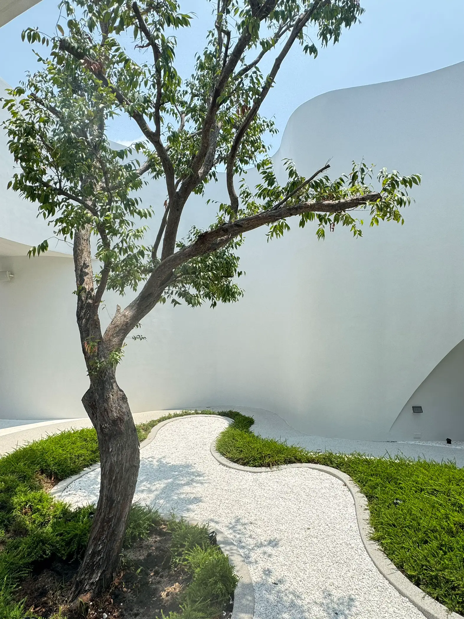 คาเฟ่ใหม่ Uncloud บางแสน ชลบุรี ธีมขั้วโลกเหนือ ขั้วโลกใต้ ️ | แกลเลอรีที่โพสต์โดย Tong_PJ | Lemon8