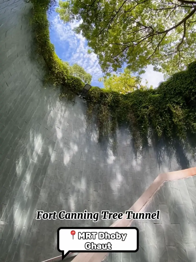 🗺️ แพลนเที่ยวสิงค์โปร์ ฉบับไปเองโดยขึ้น MRT 🇸🇬🚇 | แกลเลอรีที่โพสต์โดย ...