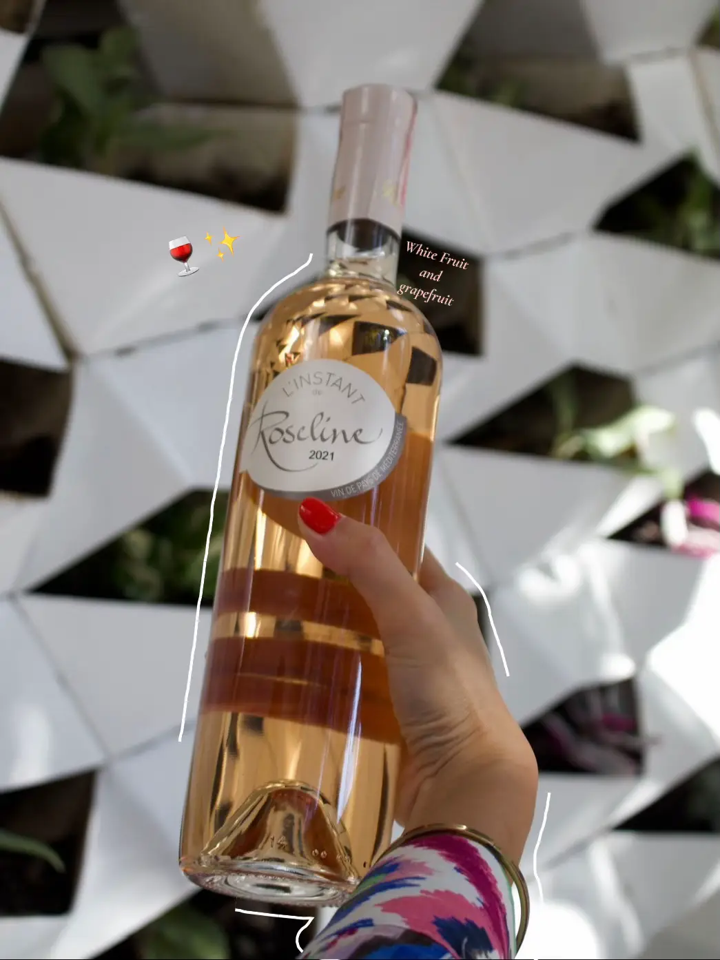 Rose Wine 💗 | แกลเลอรีที่โพสต์โดย Lapin | Lemon8
