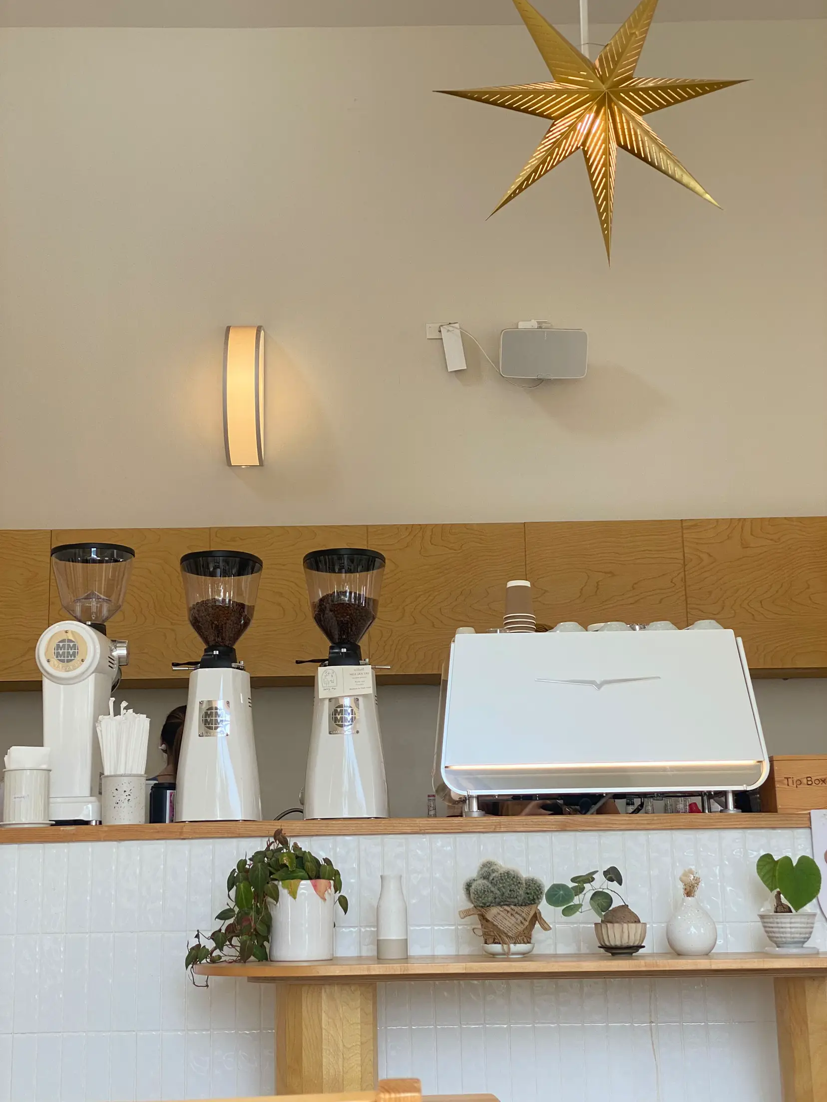 Spring Day Cafe Rayong 🌤️🐈🪐🌸 | แกลเลอรีที่โพสต์โดย คุณตาลรีวิว | Lemon8