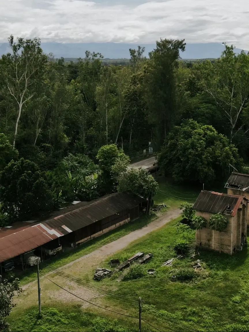 ย้อนรอย โรงบมยาสูบ จ.น่าน | แกลเลอรีที่โพสต์โดย ชีวิตต้องเจอนี่ | Lemon8