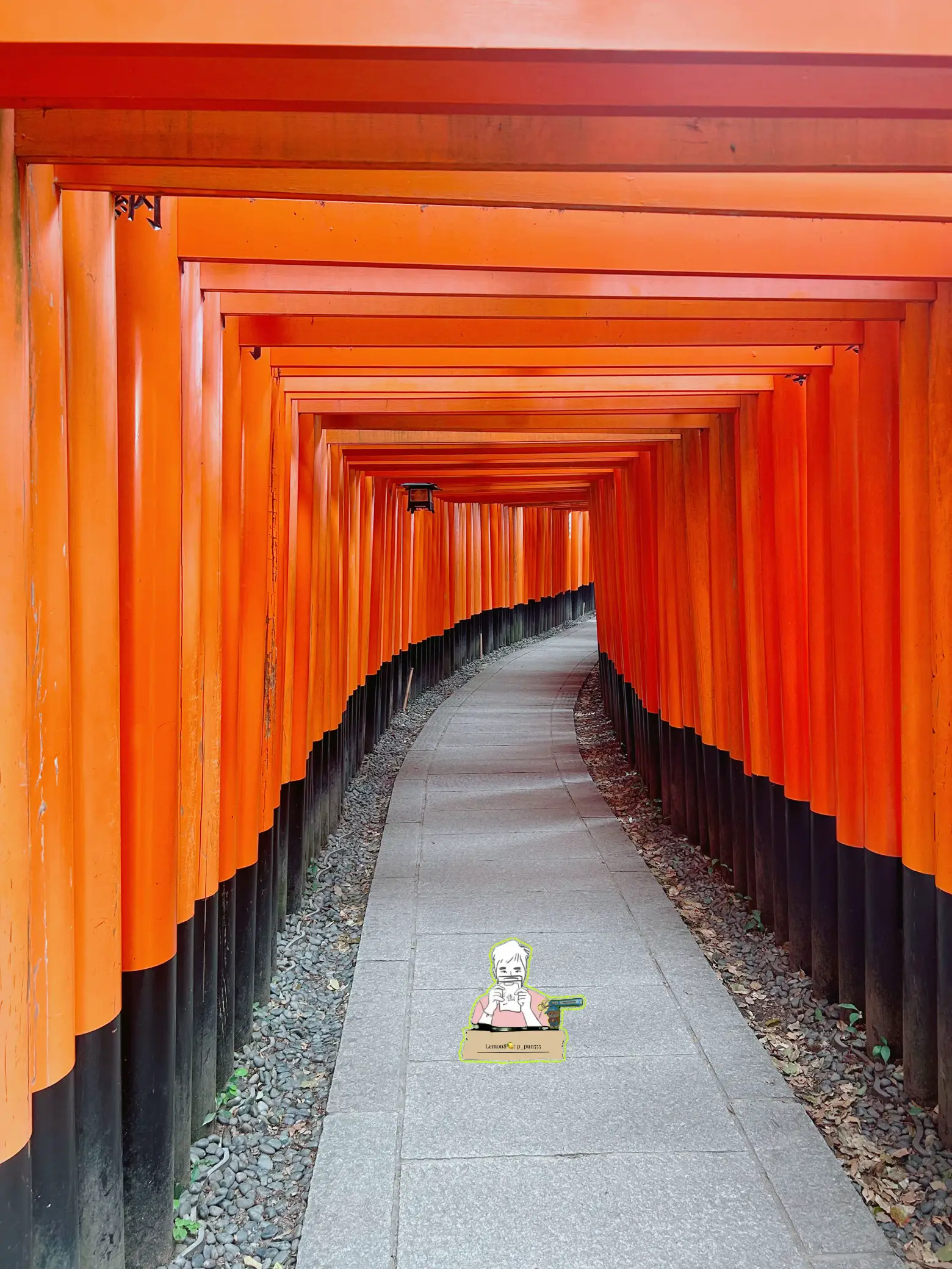 ศาลเจ้าเทพเจ้าจิ้งจอก เกียวโต🦊|Fushimi inari shrine | แกลเลอรีที่โพสต์โดย Pun Pun | Lemon8