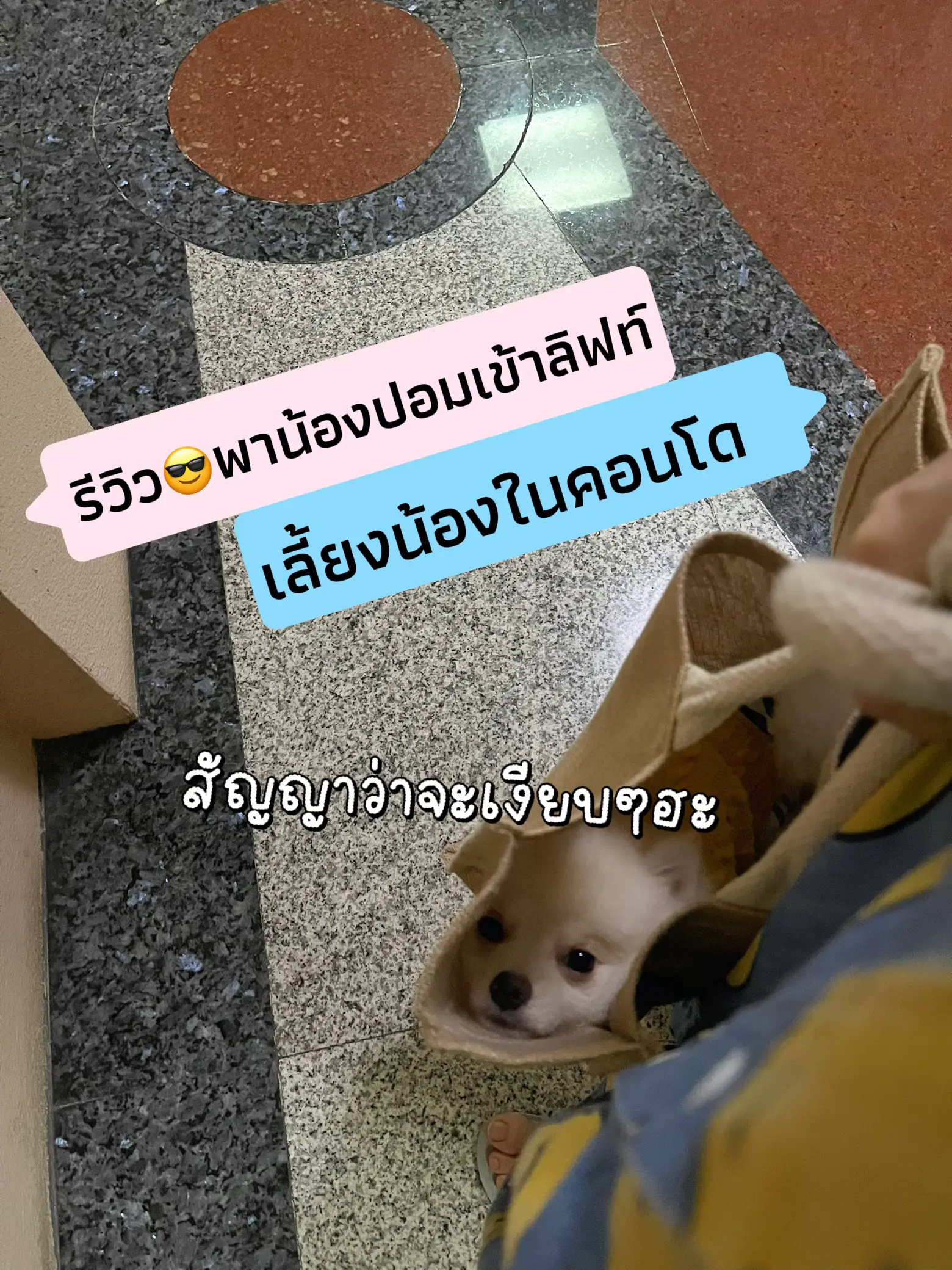 สัญญาว่าจะเงียบๆฮะ | แกลเลอรีที่โพสต์โดย Moobin Cuddle | Lemon8