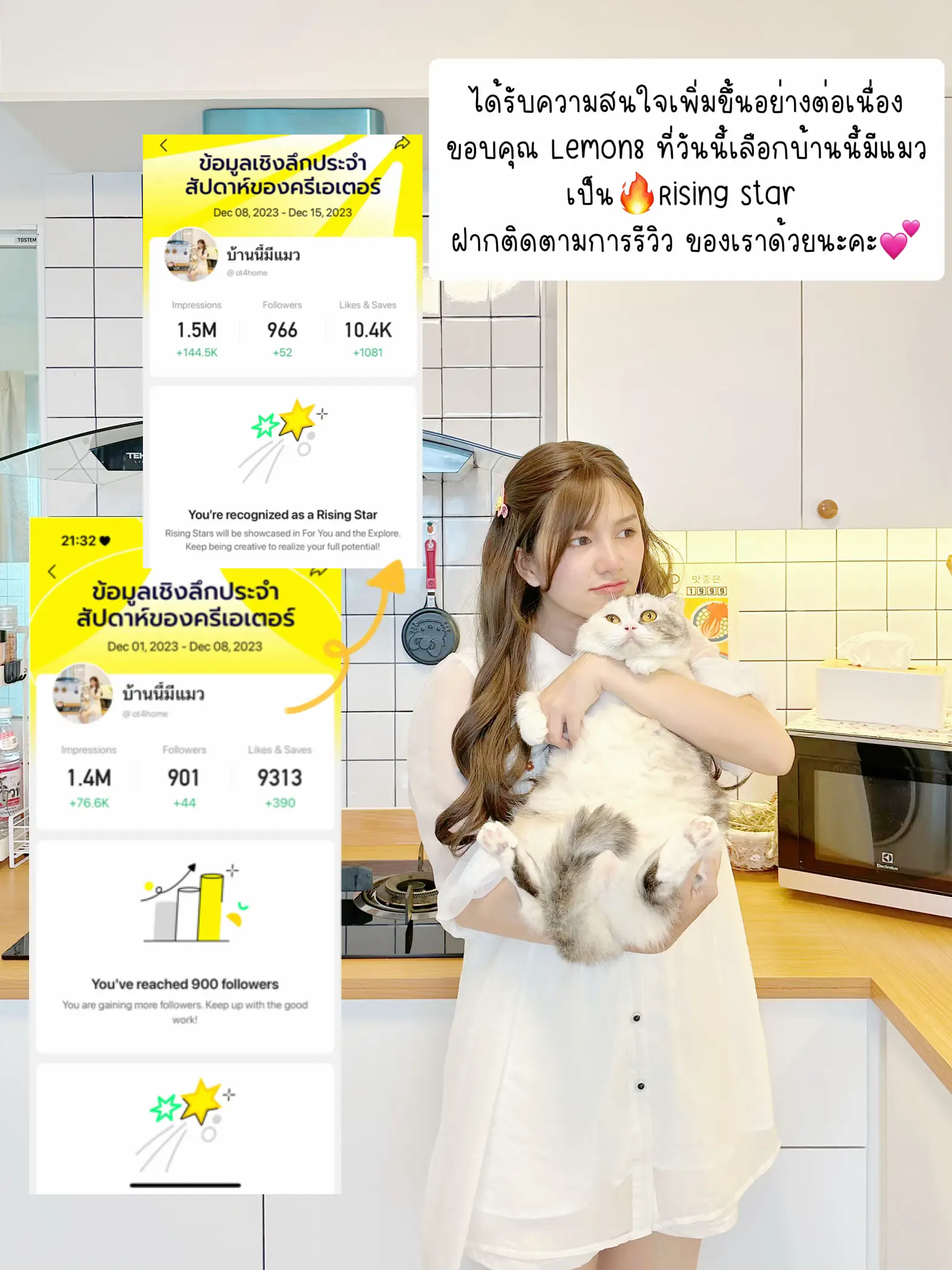 🔥Rising Star ให้คนที่กำลังจะหมดไฟมีแรงฮึดอีกครั้ง | แกลเลอรีที่โพสต์โดย บ้านนี้มีแมว | Lemon8