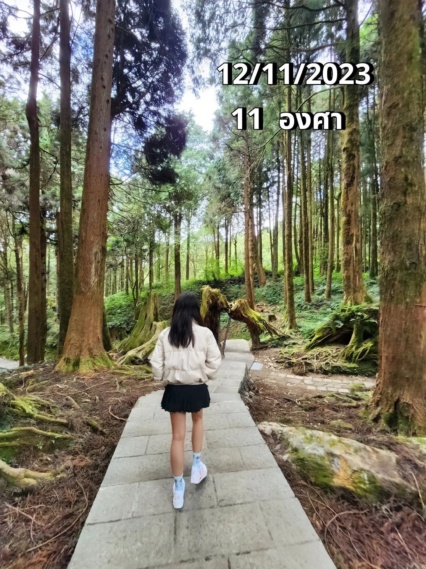 รีวิวทริป ไทเป - อาลีซาน 🇹🇼 ละเอียดยิบ | แกลเลอรีที่โพสต์โดย cha_natcha | Lemon8