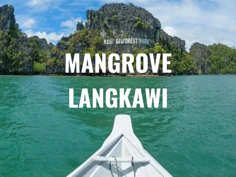 LANGKAWI MANGROVE TOUR | แกลเลอรีที่โพสต์โดย Fida Abdullah | Lemon8