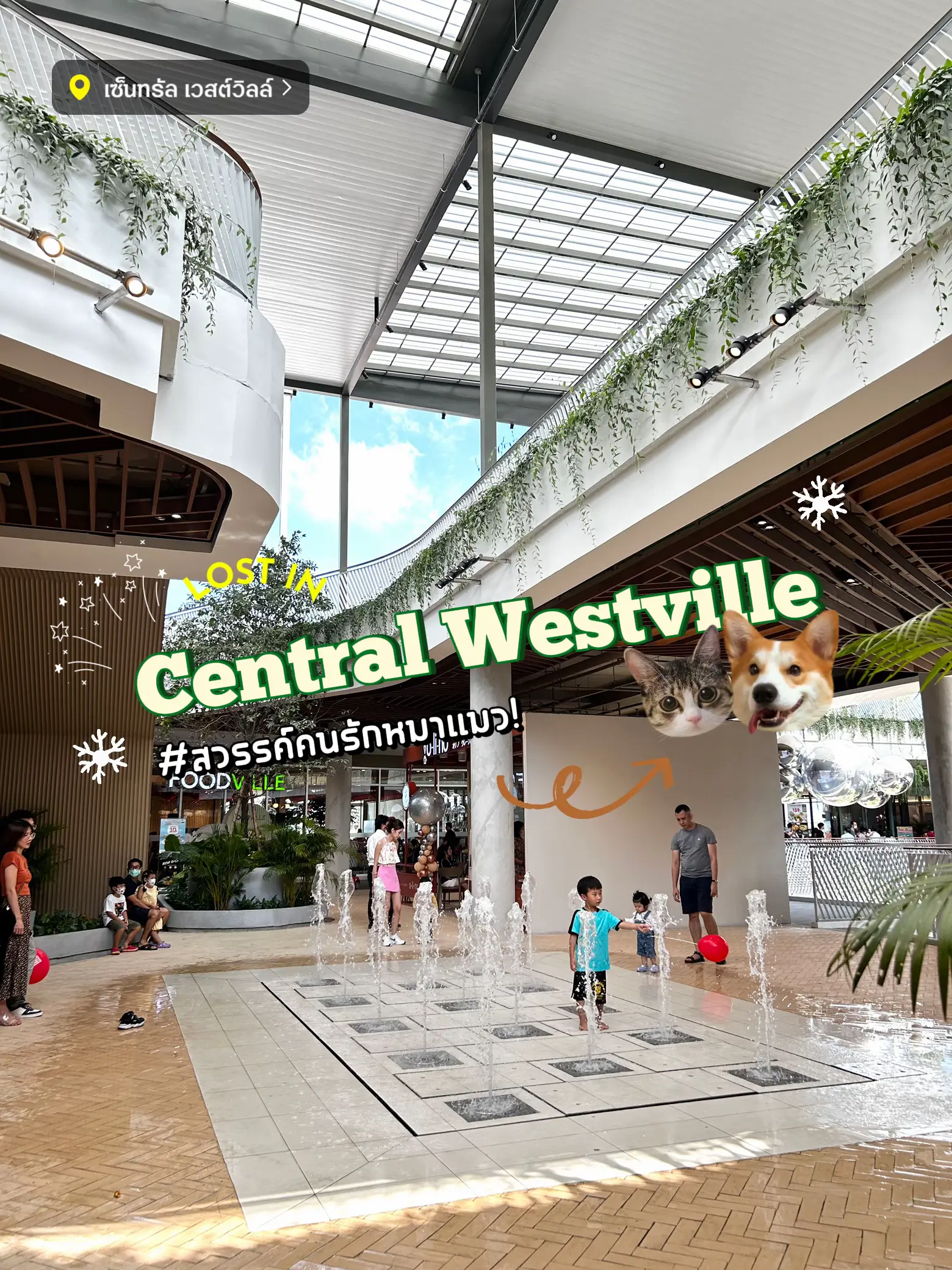 Central Westville🐶🐱 สวรรค์ใหม่ของคนรักหมาแมว! | แกลเลอรีที่โพสต์โดย eiggam₍ ⺣̤̬ ₎ | Lemon8