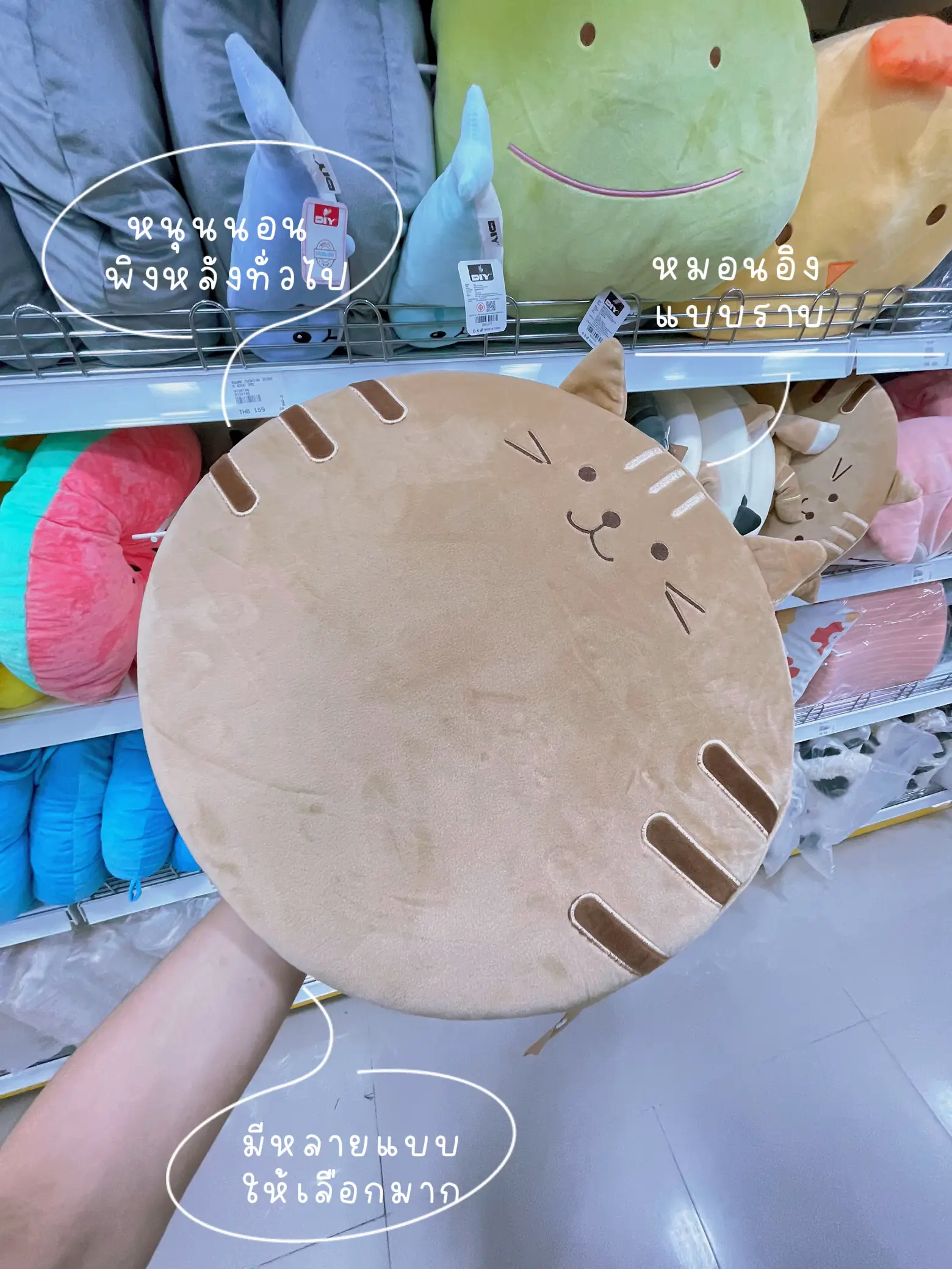 ร้านdiyมีอะไรบ้าง | 2025 ประสบการณ์ผู้ใช้จริงบน Lemon8