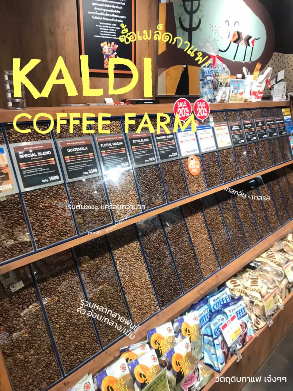ซื้อกาแฟมาดริปเอง @KALDI COFFEE FARM | แกลเลอรีที่โพสต์โดย Yuri | Lemon8