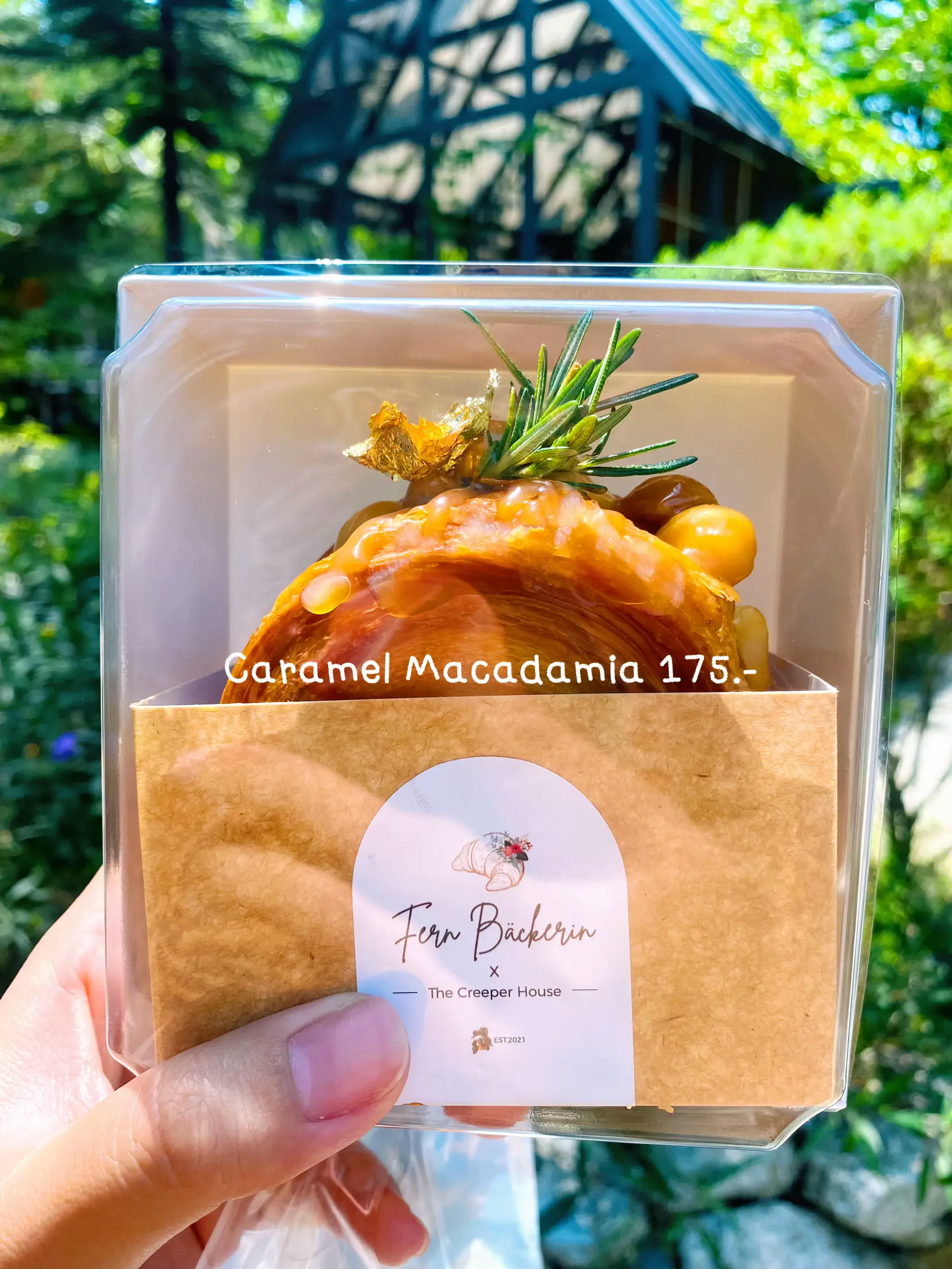 Timber Ring | วิดีโอที่เผยแพร่โดย Modzii Pbn | Lemon8