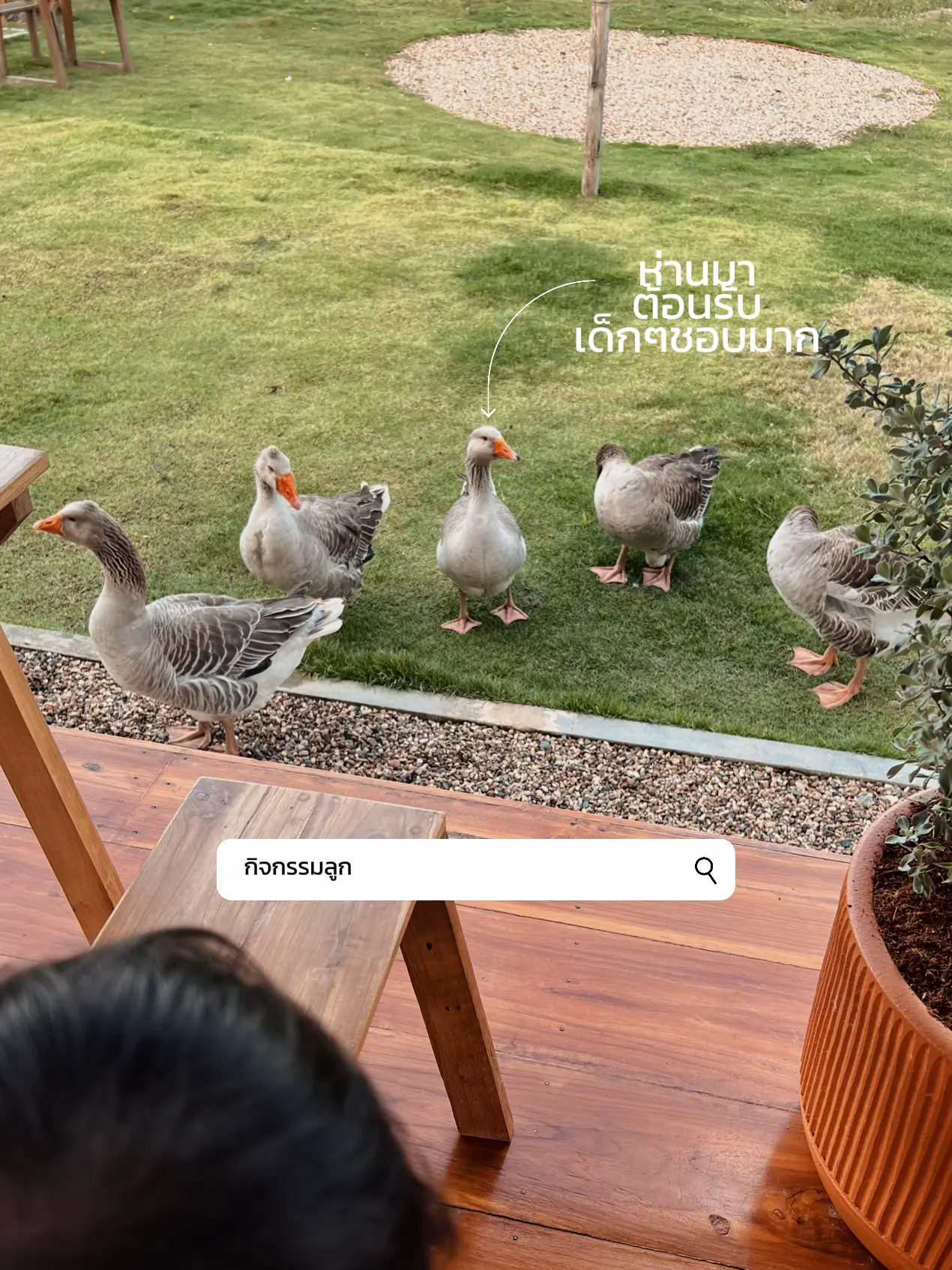 คาเฟ่เชียงดาว 419.homecafe | แกลเลอรีที่โพสต์โดย Darin | Lemon8