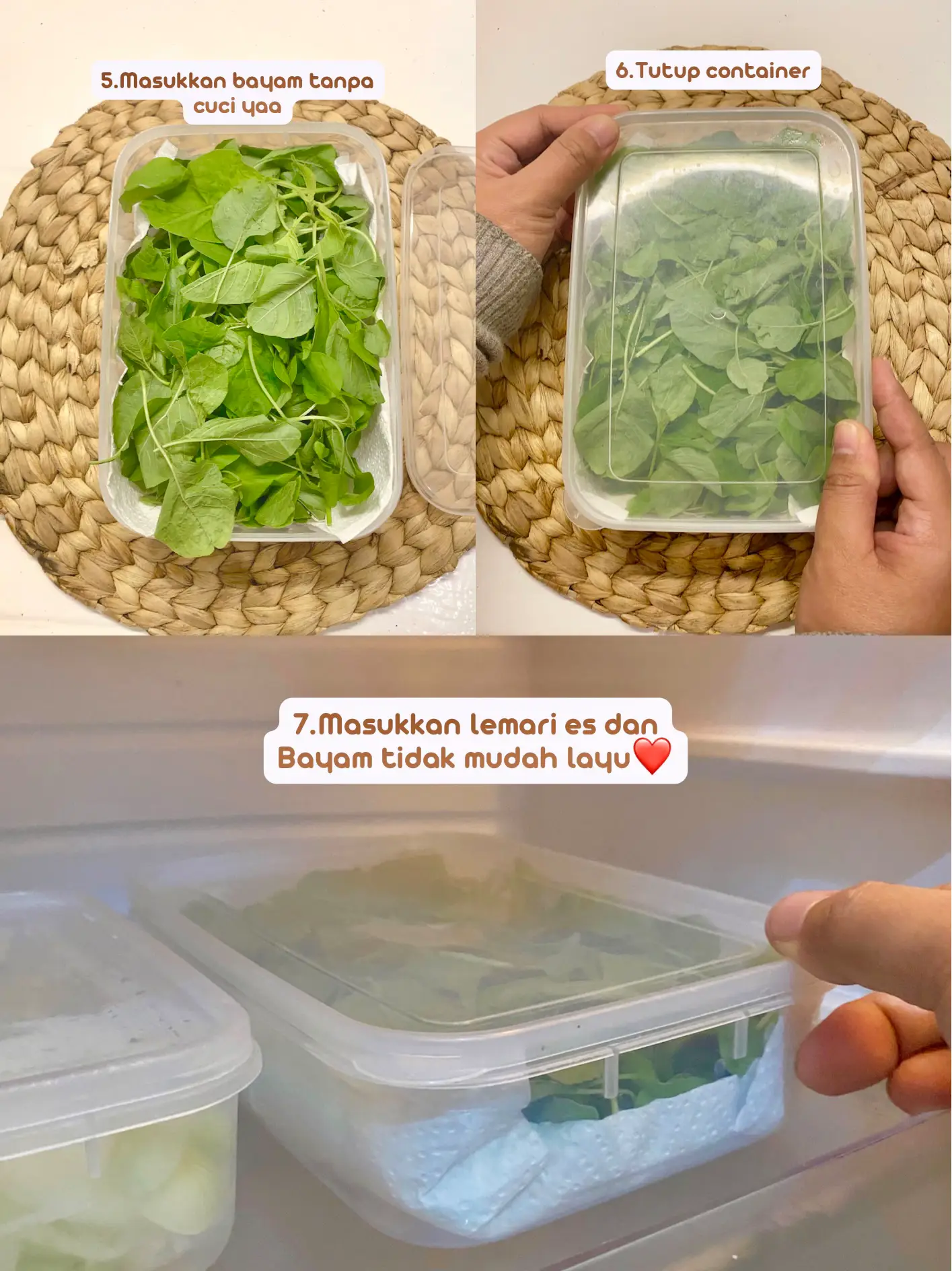 Cara Simpan Bayam Agar Segar & Gak Layu! | Galeri diposting oleh ...